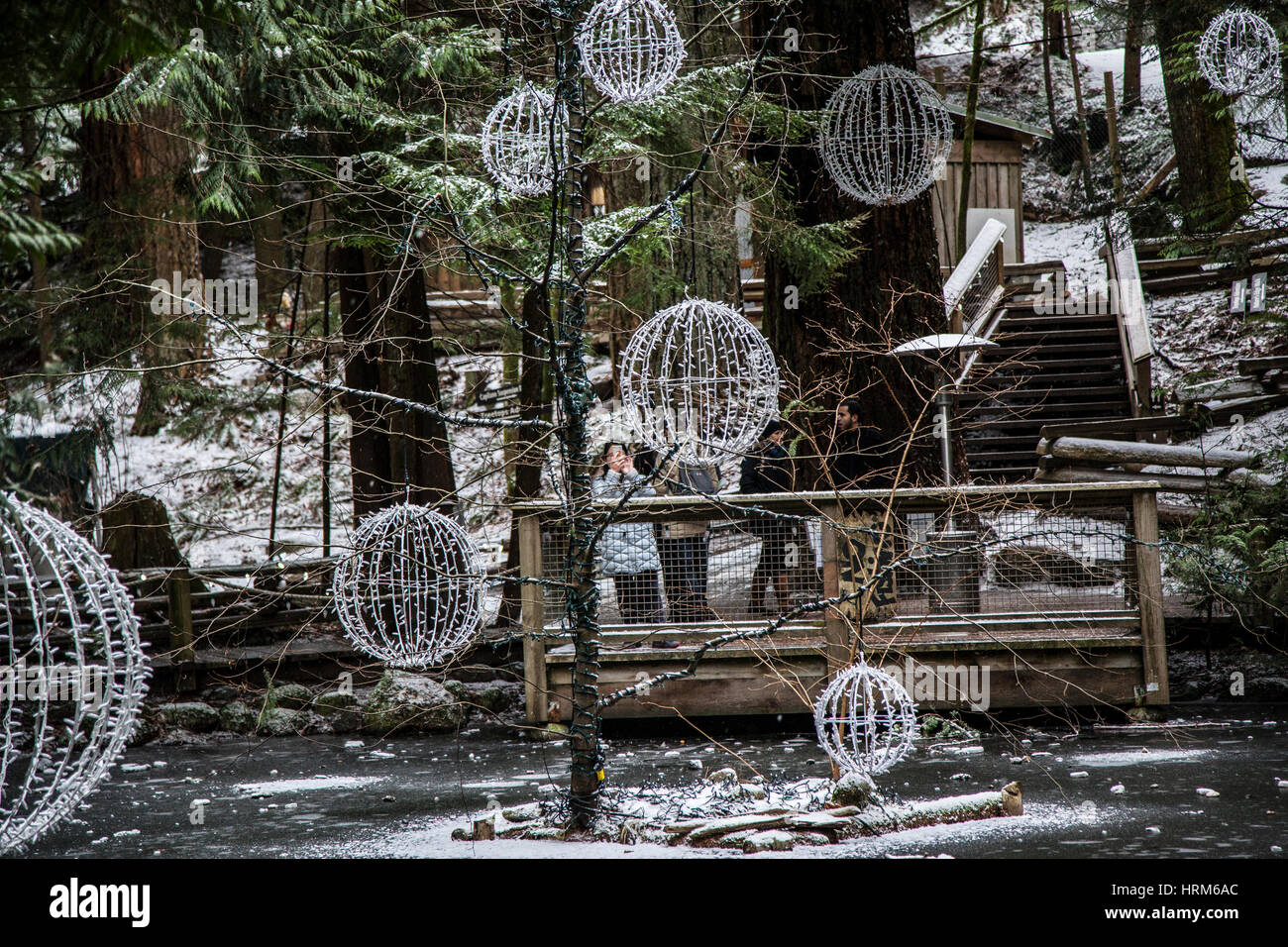 Capilano suspension bridge lights hi-res stock photography and images ...