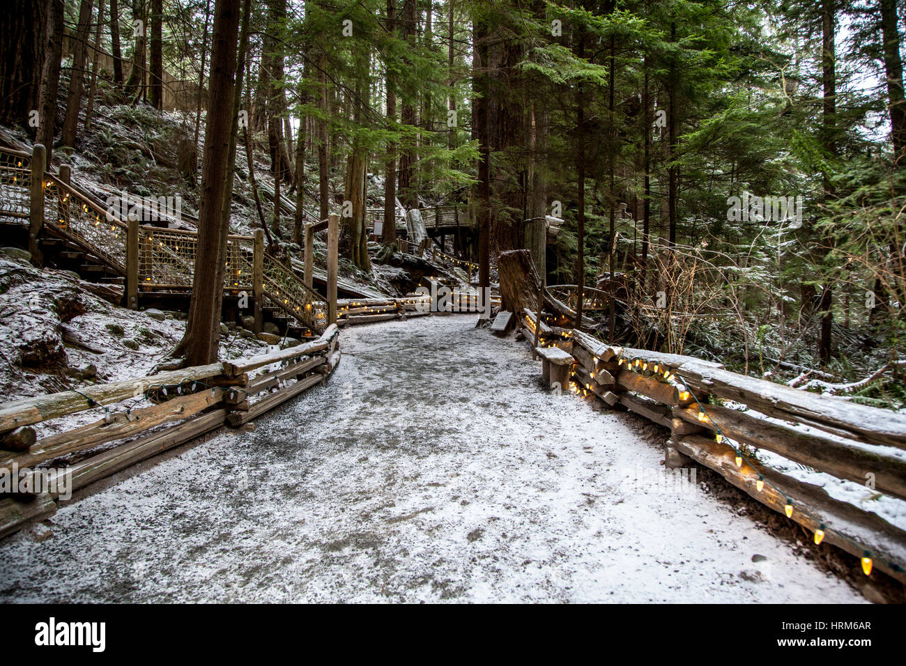 Capilano suspension bridge park snow hi-res stock photography and ...