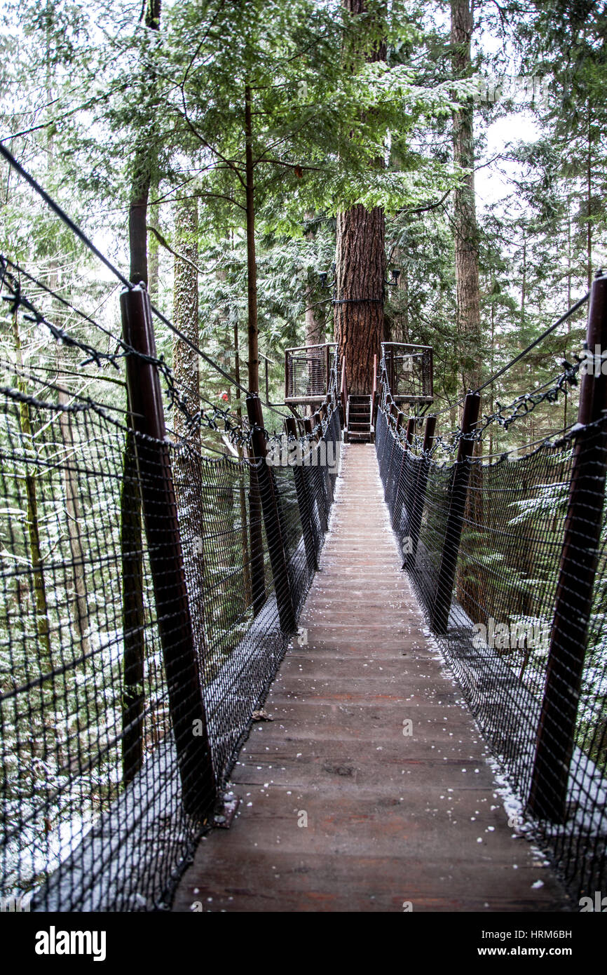 Treetops Adventure walkway at the Capilano Suspension Bridge, Vancouver ...