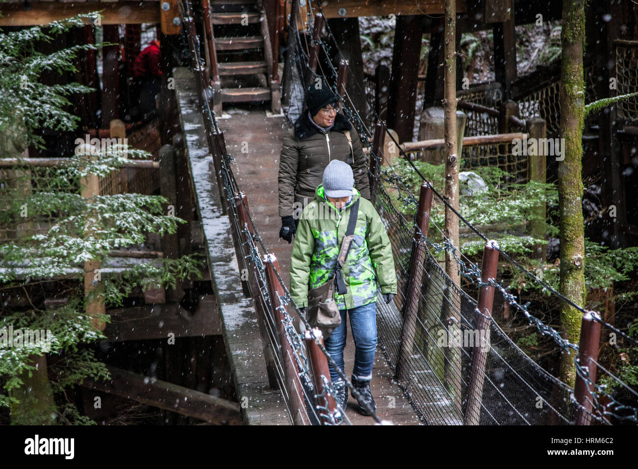 Treetops Adventure walkway at the Capilano Suspension Bridge, Vancouver ...
