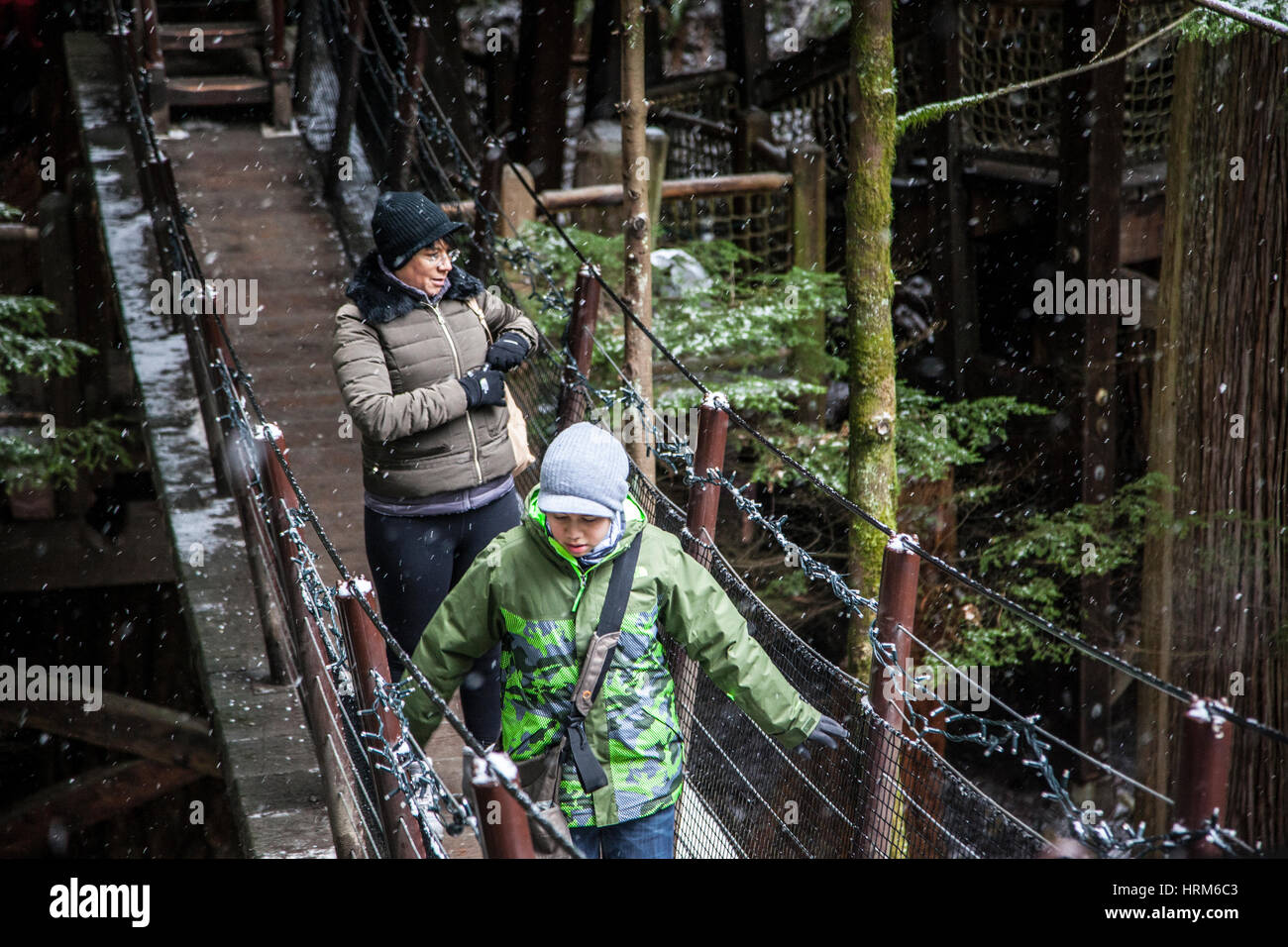 Treetops Adventure walkway at the Capilano Suspension Bridge, Vancouver ...