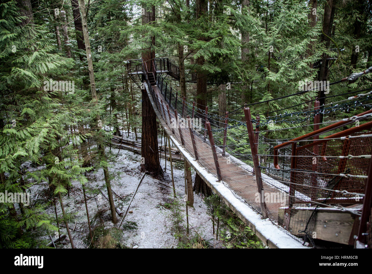 Treetops Adventure walkway at the Capilano Suspension Bridge, Vancouver ...