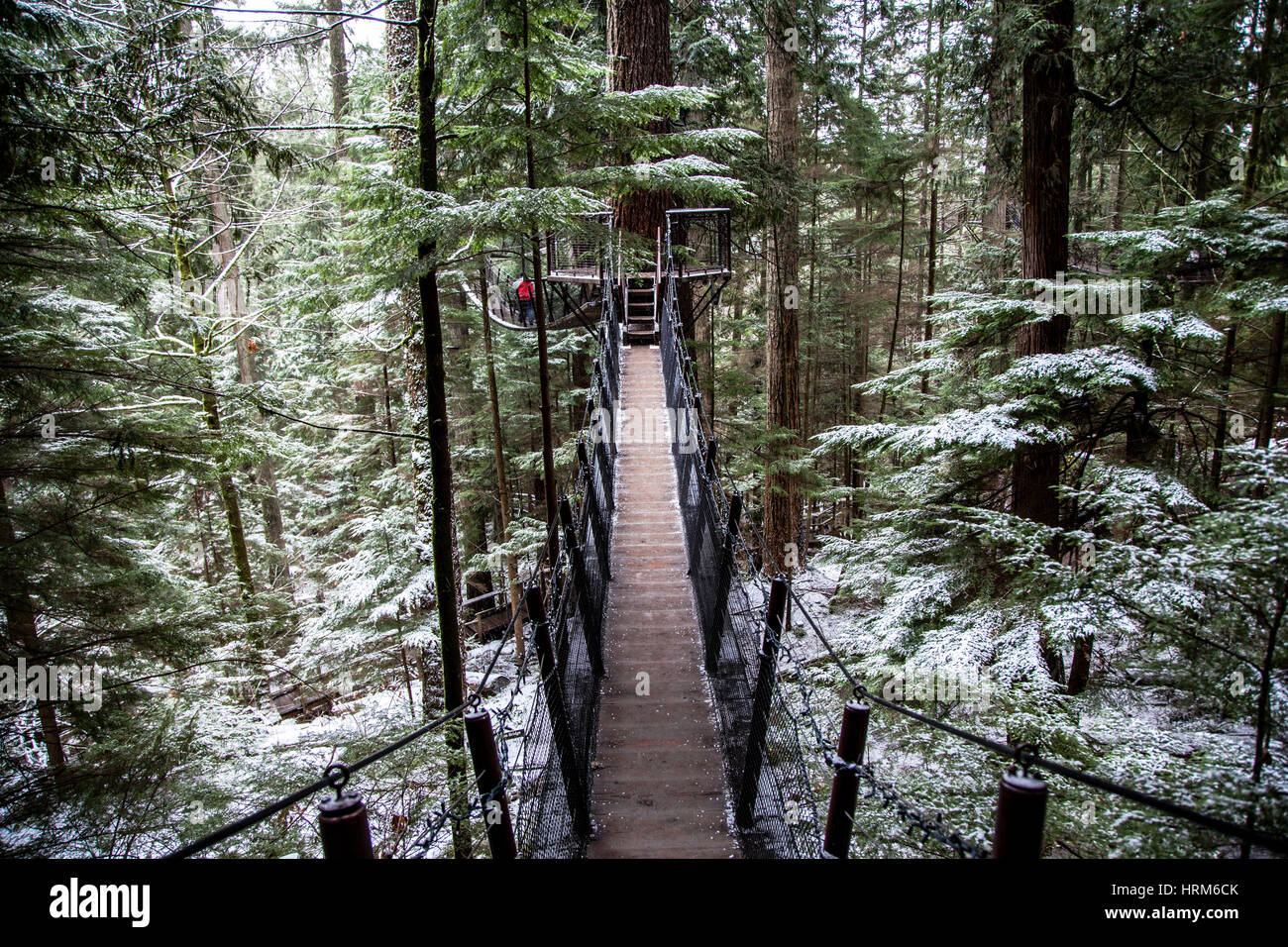 Capilano Suspension Bridge Tree Top Adventure