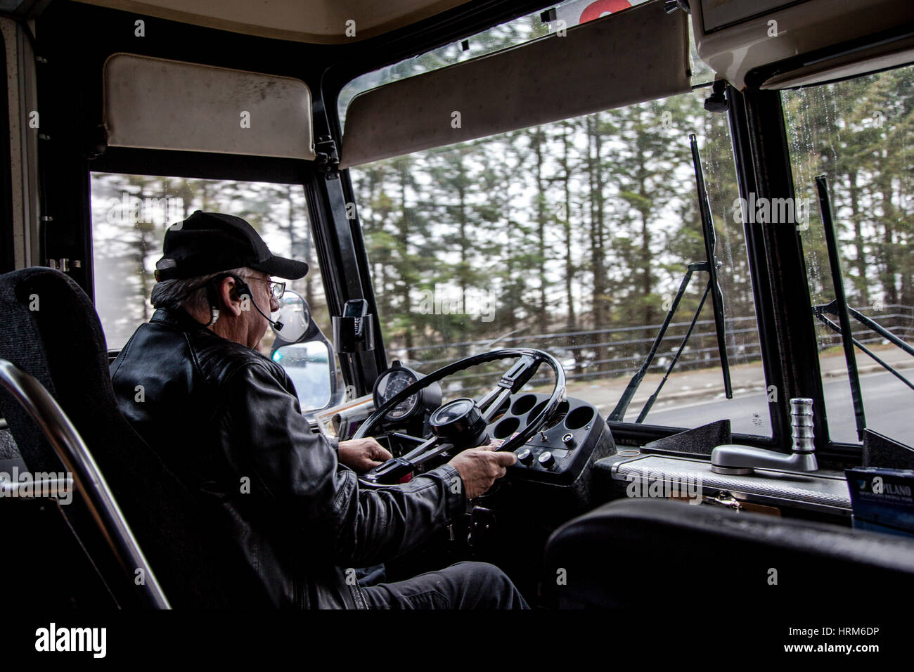 Bus driver at vancouver, BC, Canada Stock Photo - Alamy