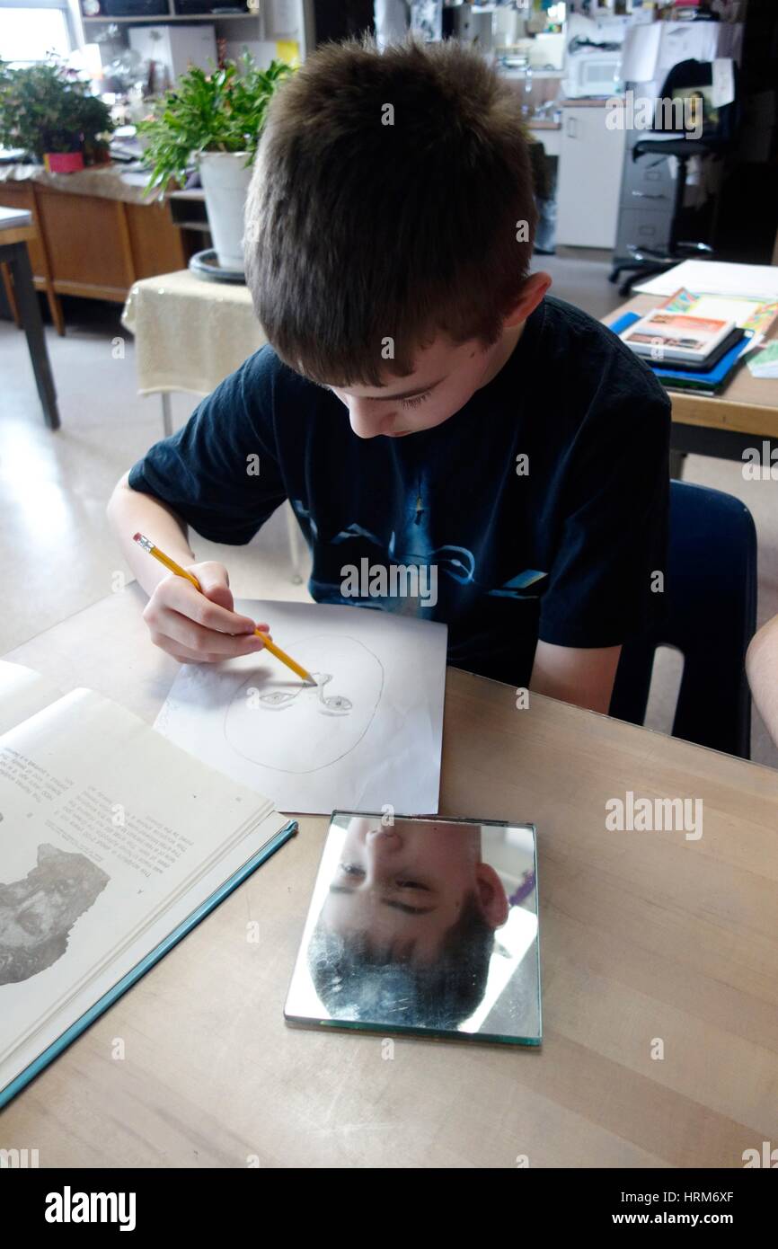 Self Portrait Mirror Drawing High Resolution Stock Photography and ...