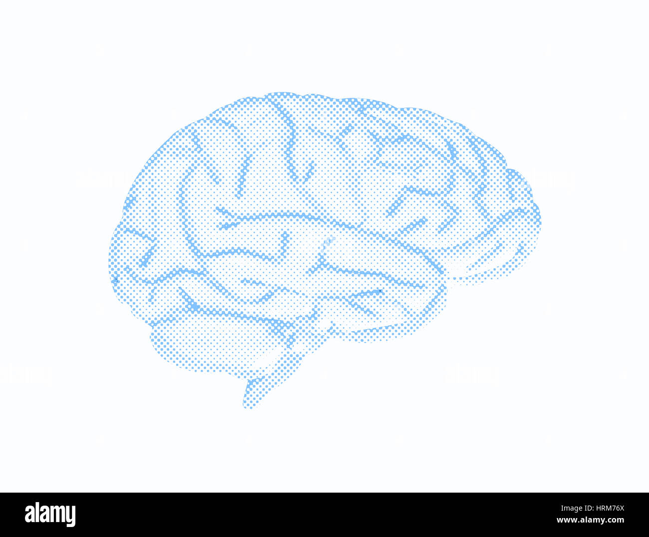 Half human brain hi-res stock photography and images - Alamy