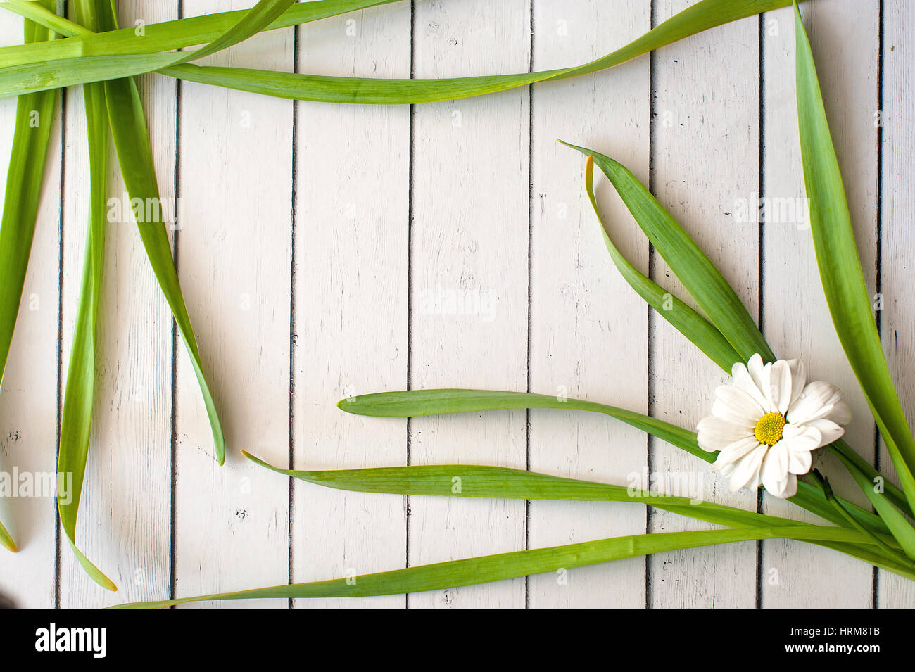 Emptyspace hi-res stock photography and images - Alamy