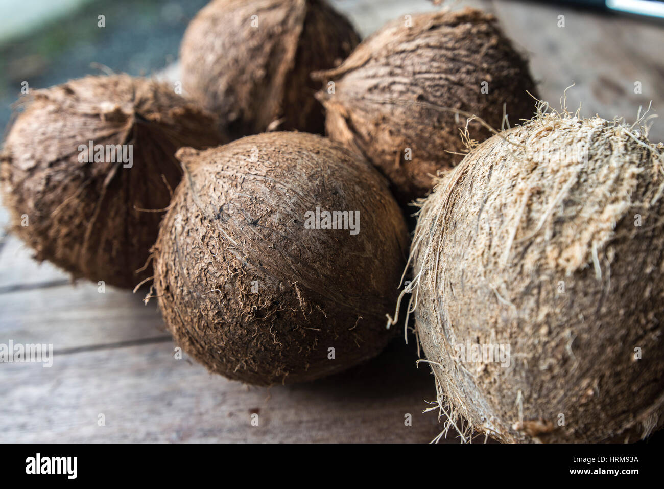 Coconuts fruit hi-res stock photography and images - Alamy