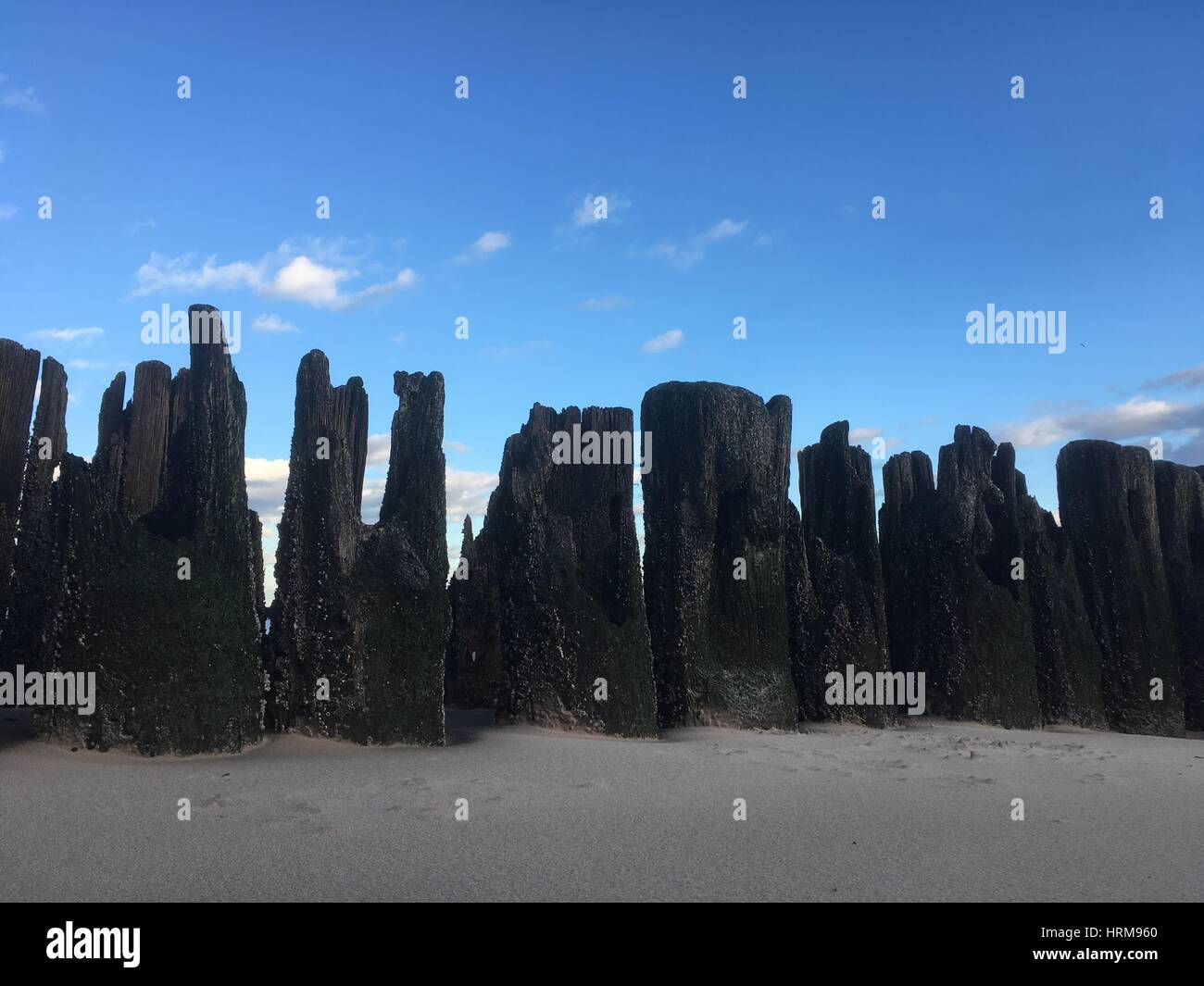 Row of sea battered wooden posts, the ruined remains of a wooden pier ...