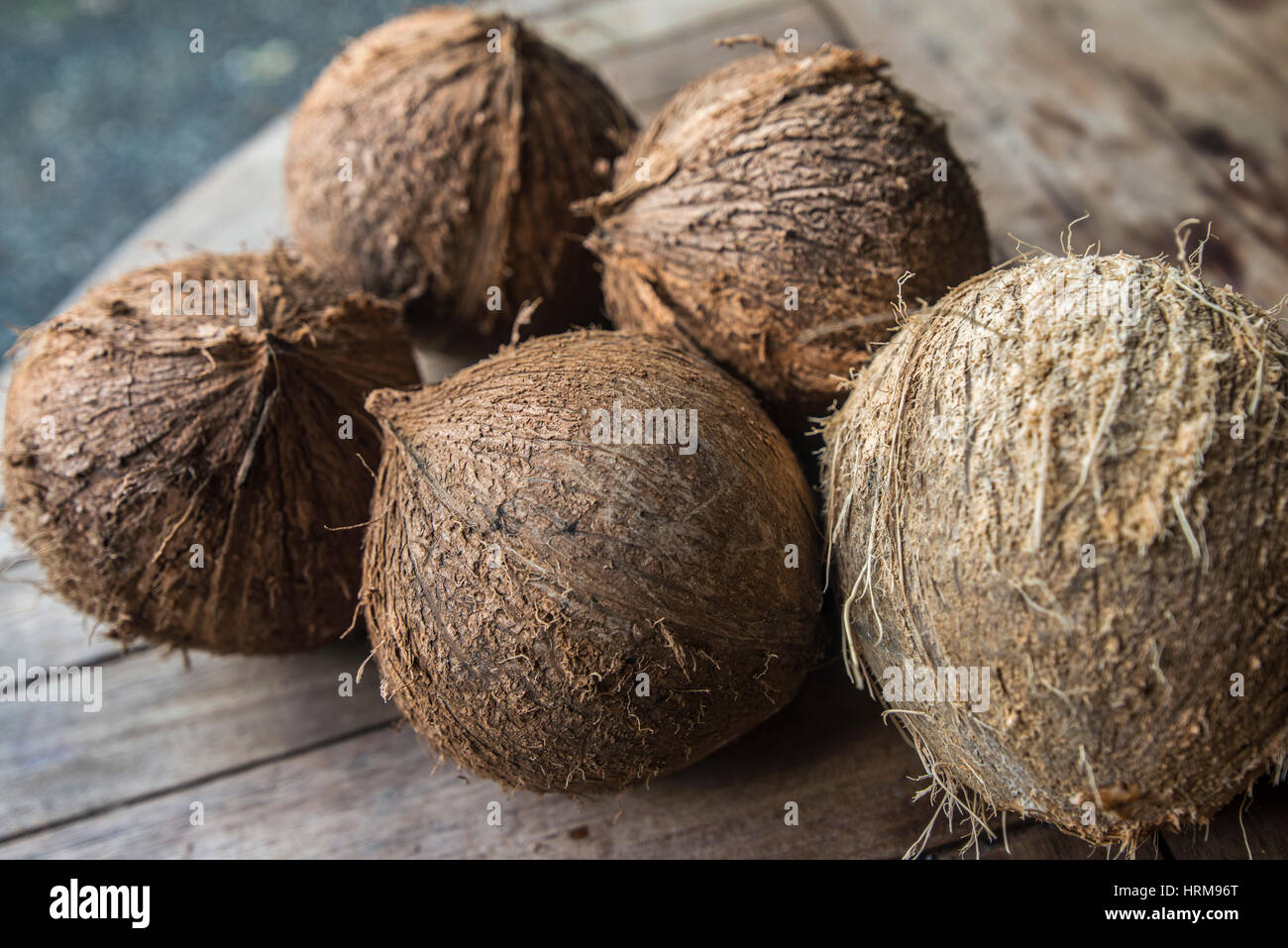 Hard coconuts hi-res stock photography and images - Alamy