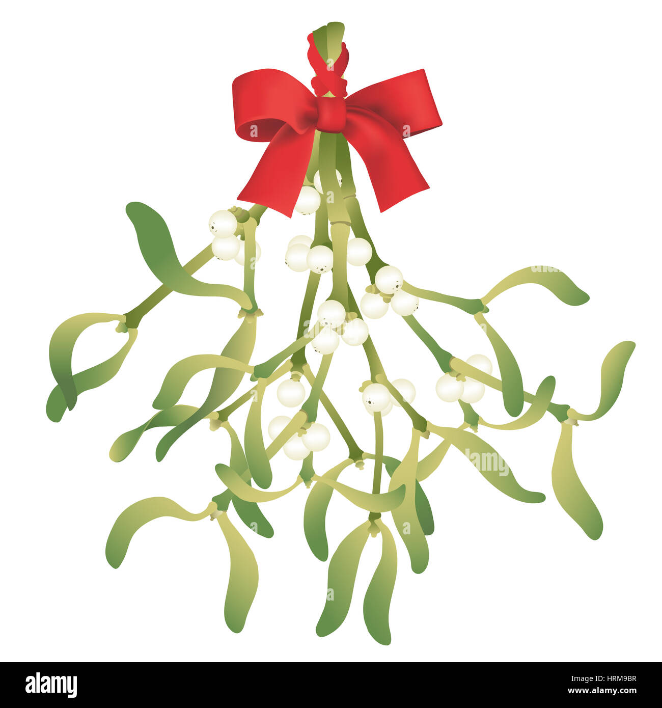 Mistletoe with red ribbon. Hand drawn digital illustration of a hanging ...