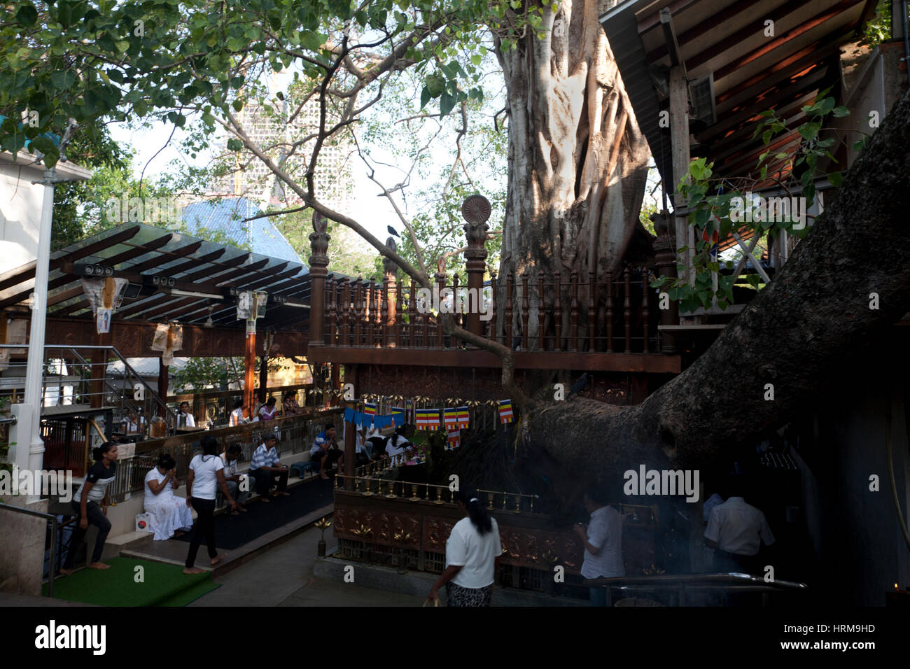 gangaramaya temple colombo sri lanka Stock Photo - Alamy