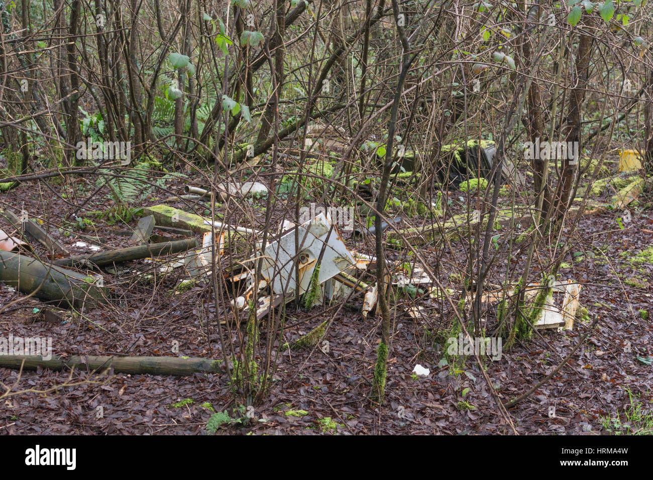 Domestic rubbish fly-tipped in a corner of woodland. An example of ...