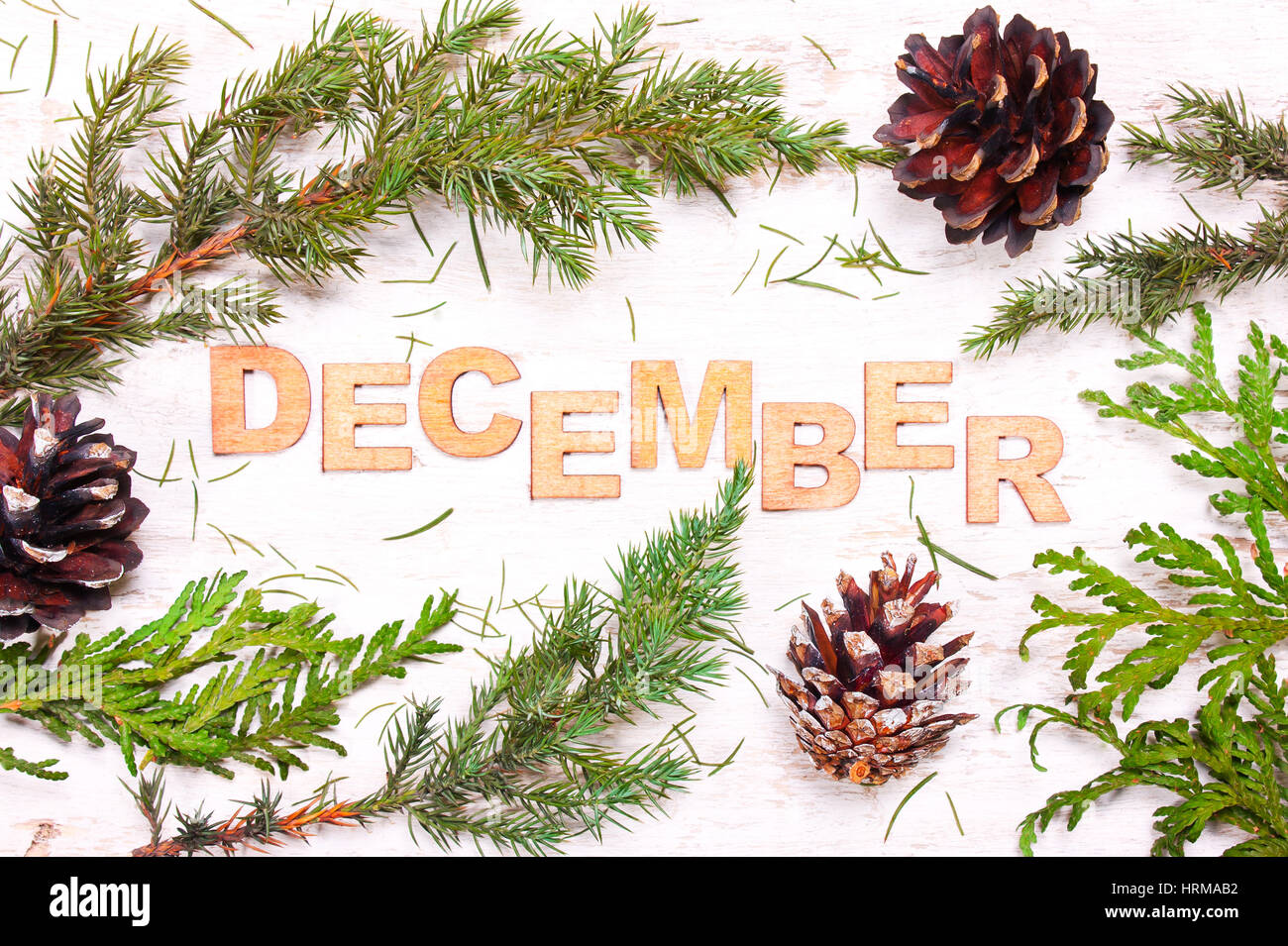 Word December against the background of tree branches, cones on a white ...