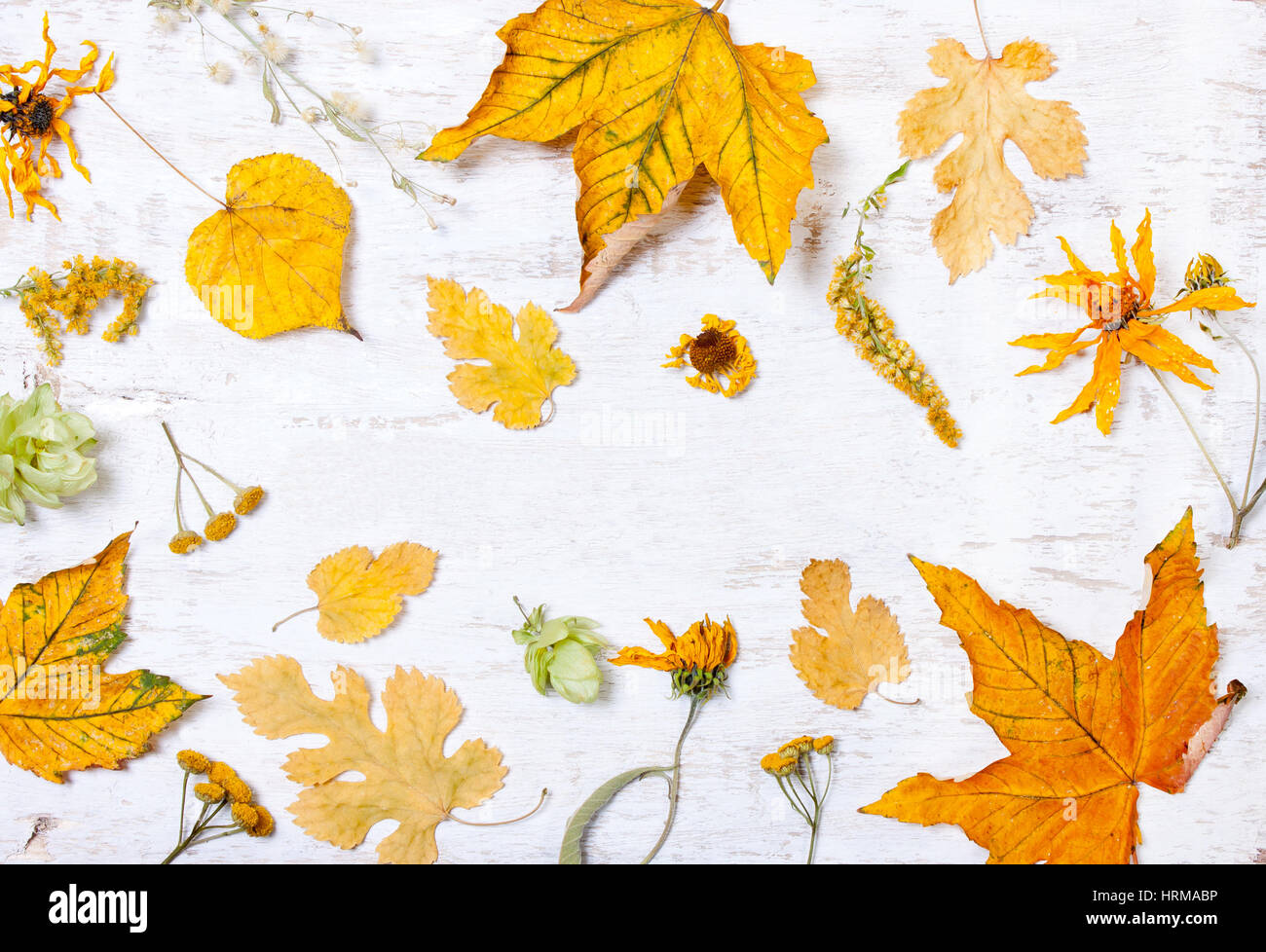 Composition, decor, frame with yellow leaves on a white wooden ...