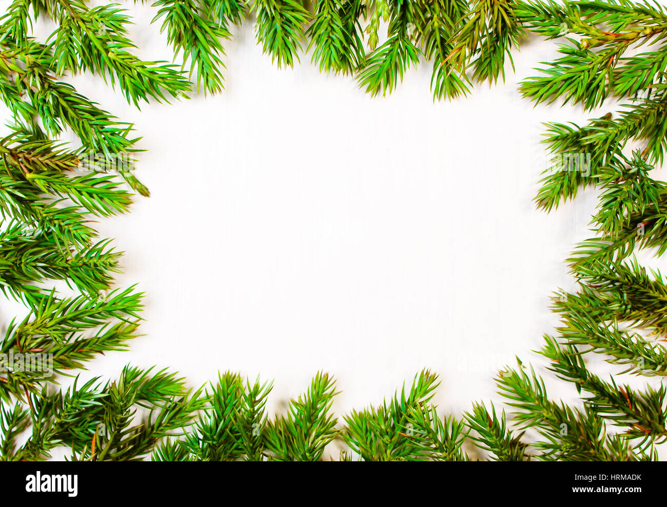 Tree branches frame hi-res stock photography and images - Alamy