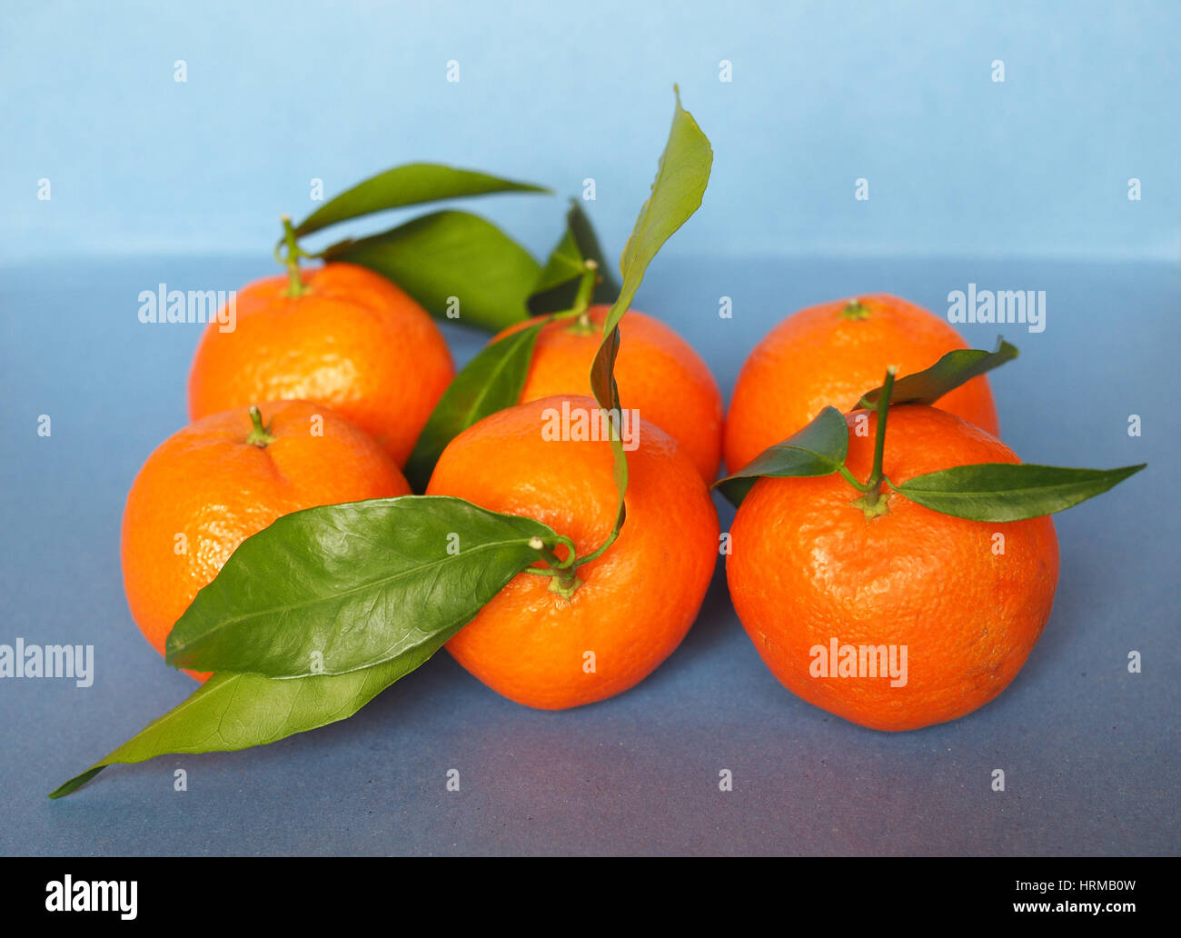 orange tangerine mandarin (Citrus tangerina) fruit vegetarian food ...