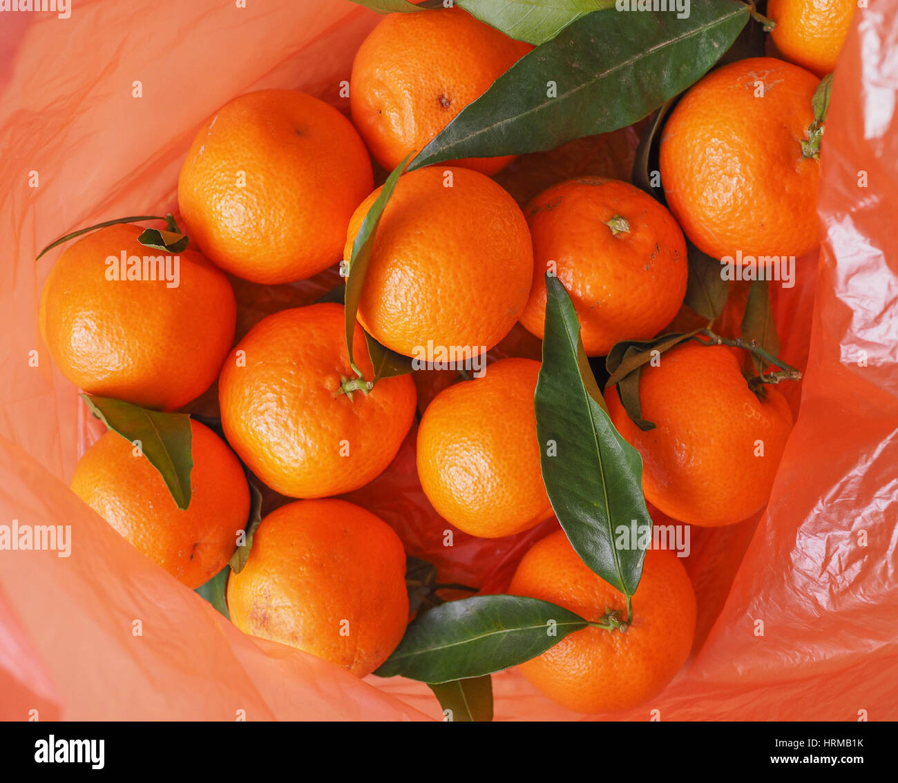 orange tangerine mandarin (Citrus tangerina) fruit vegetarian food ...