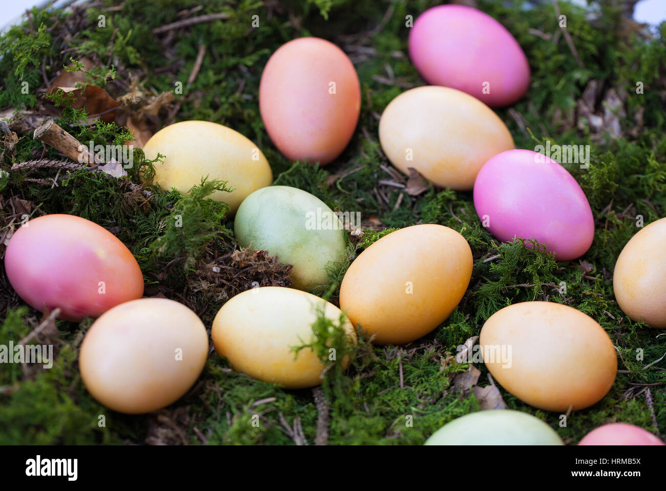 Many painted Easter eggs in the moss Stock Photo - Alamy