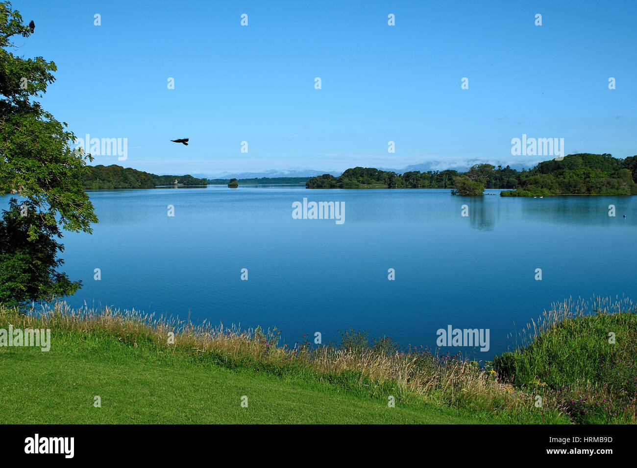 Beautiful landscape in the Killarney National Park in Country Kerry ...