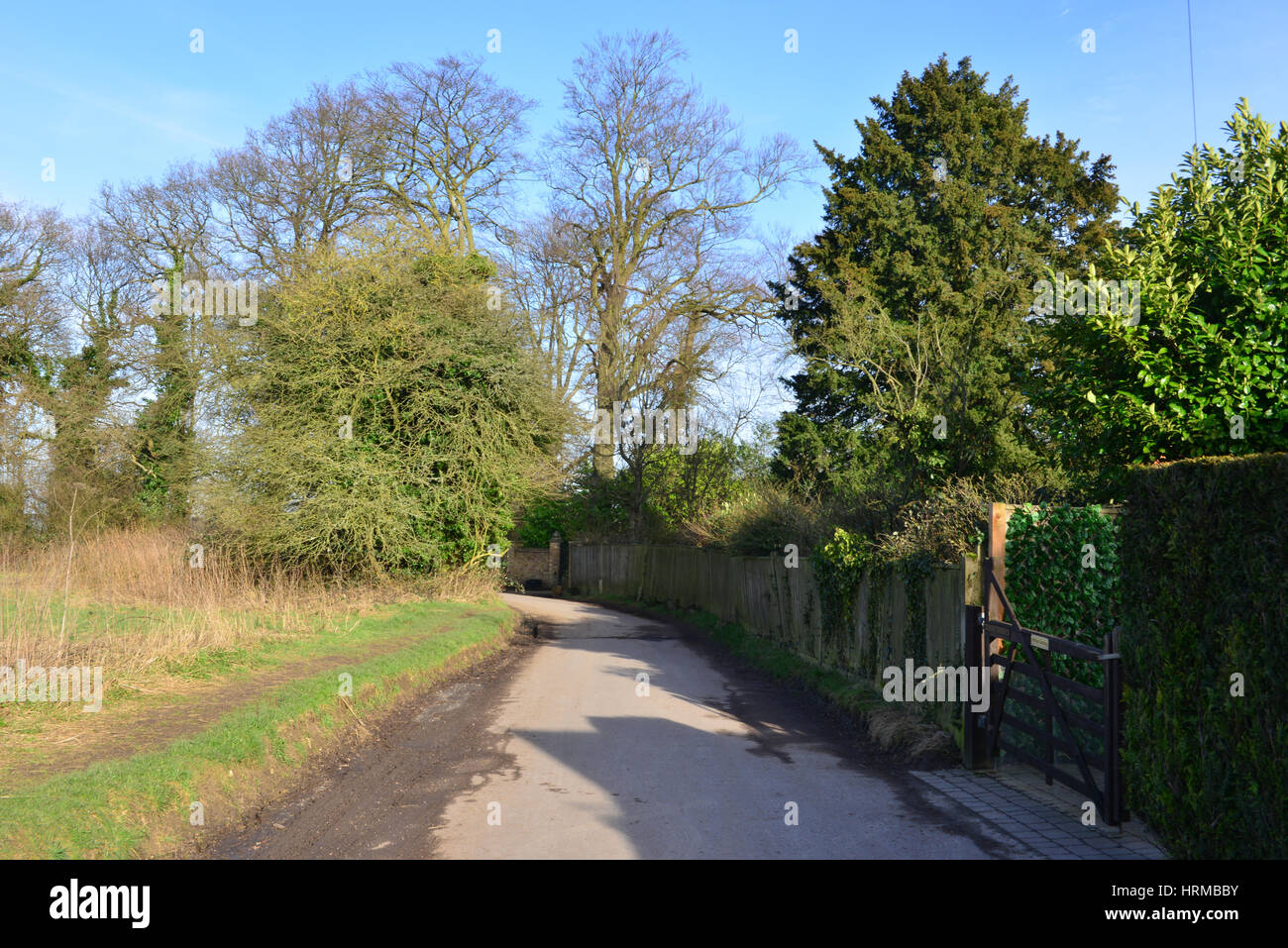 A country path in Surrey England in early spring Stock Photo - Alamy