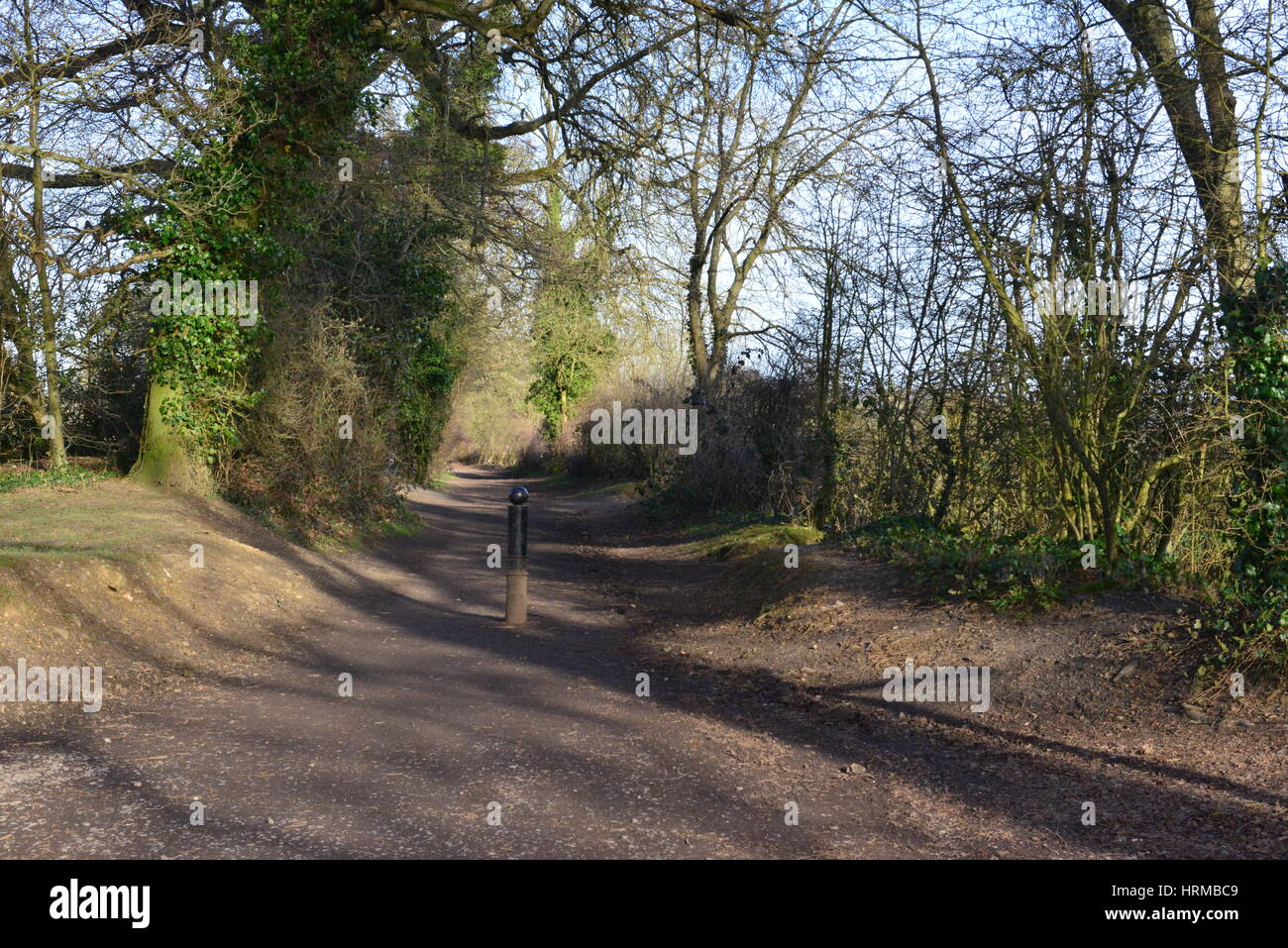 A country path in Surrey England in early spring Stock Photo - Alamy
