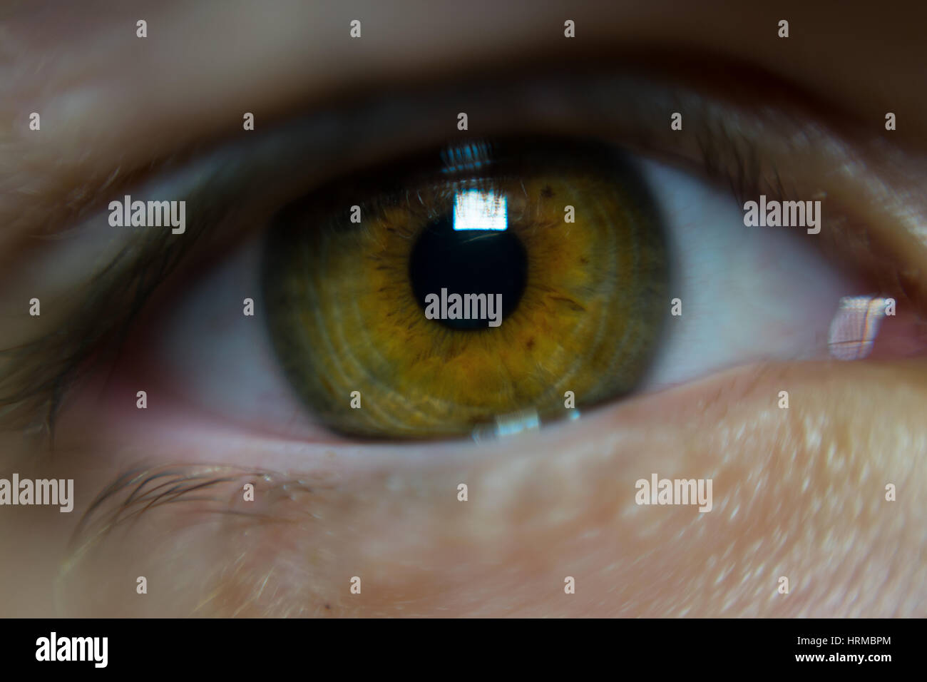 Close up shot brown patterned hi-res stock photography and images - Alamy