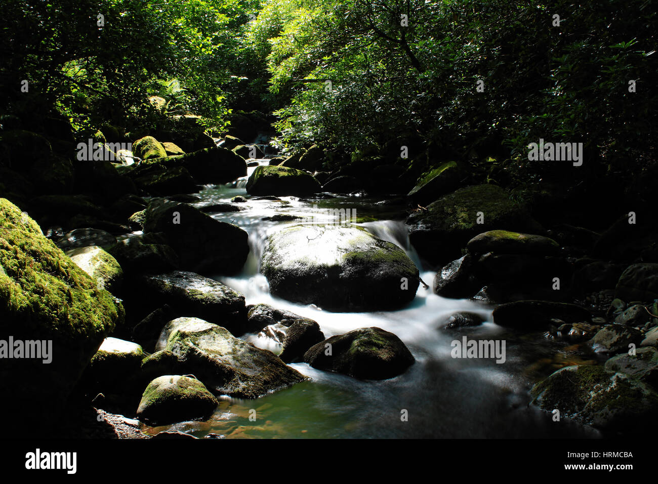 Beautiful landscape in the Killarney National Park in Country Kerry ...