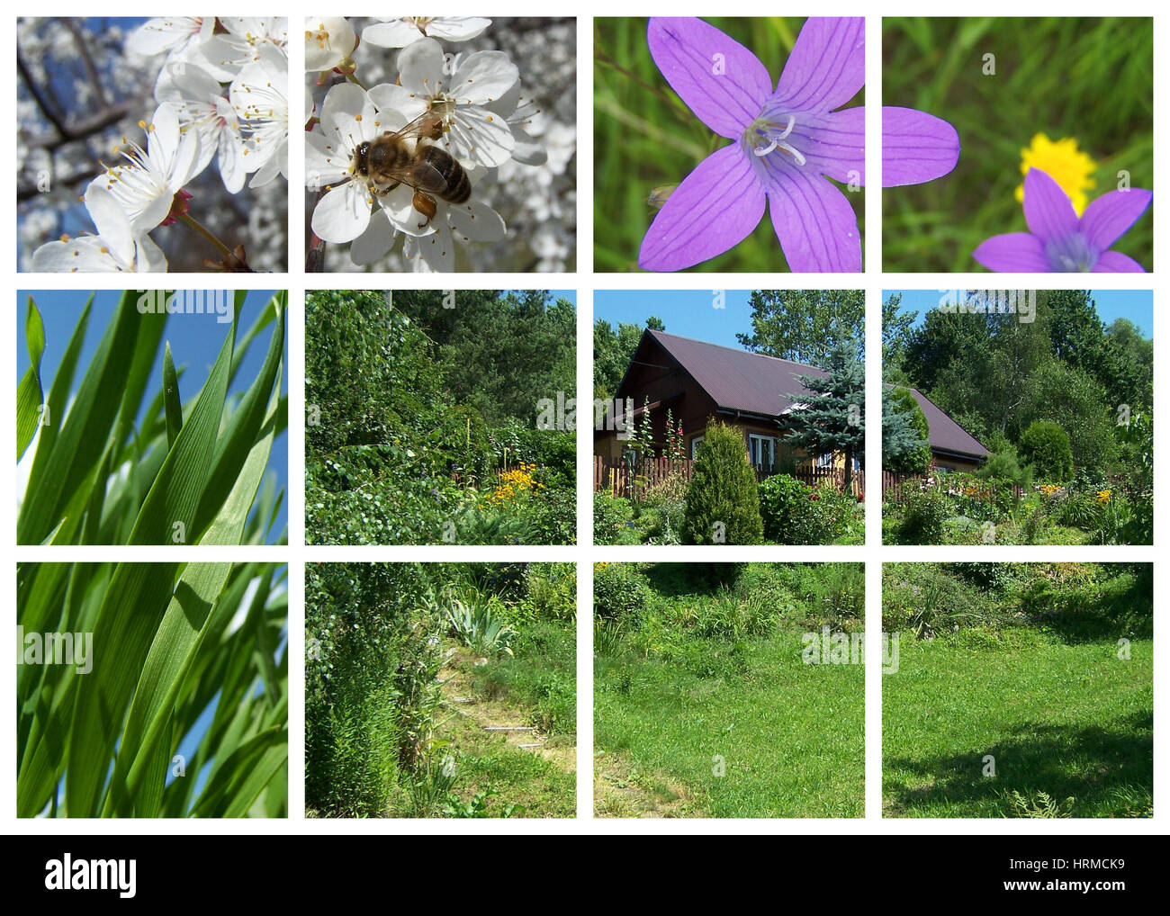 house in garden in spring collage Stock Photo - Alamy