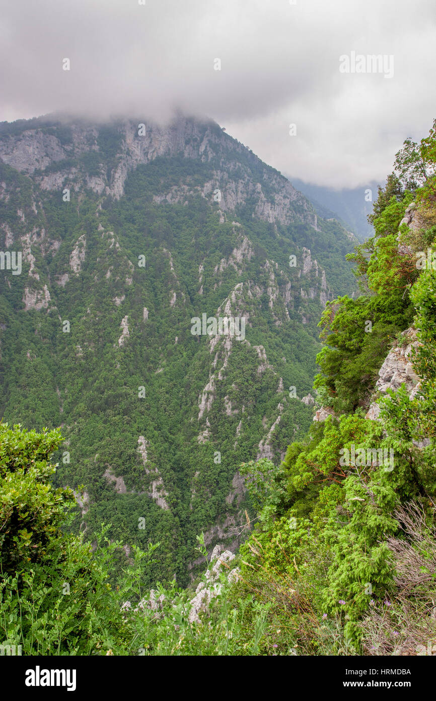 Beautiful view from Mount Olympus and the national Park around Stock ...