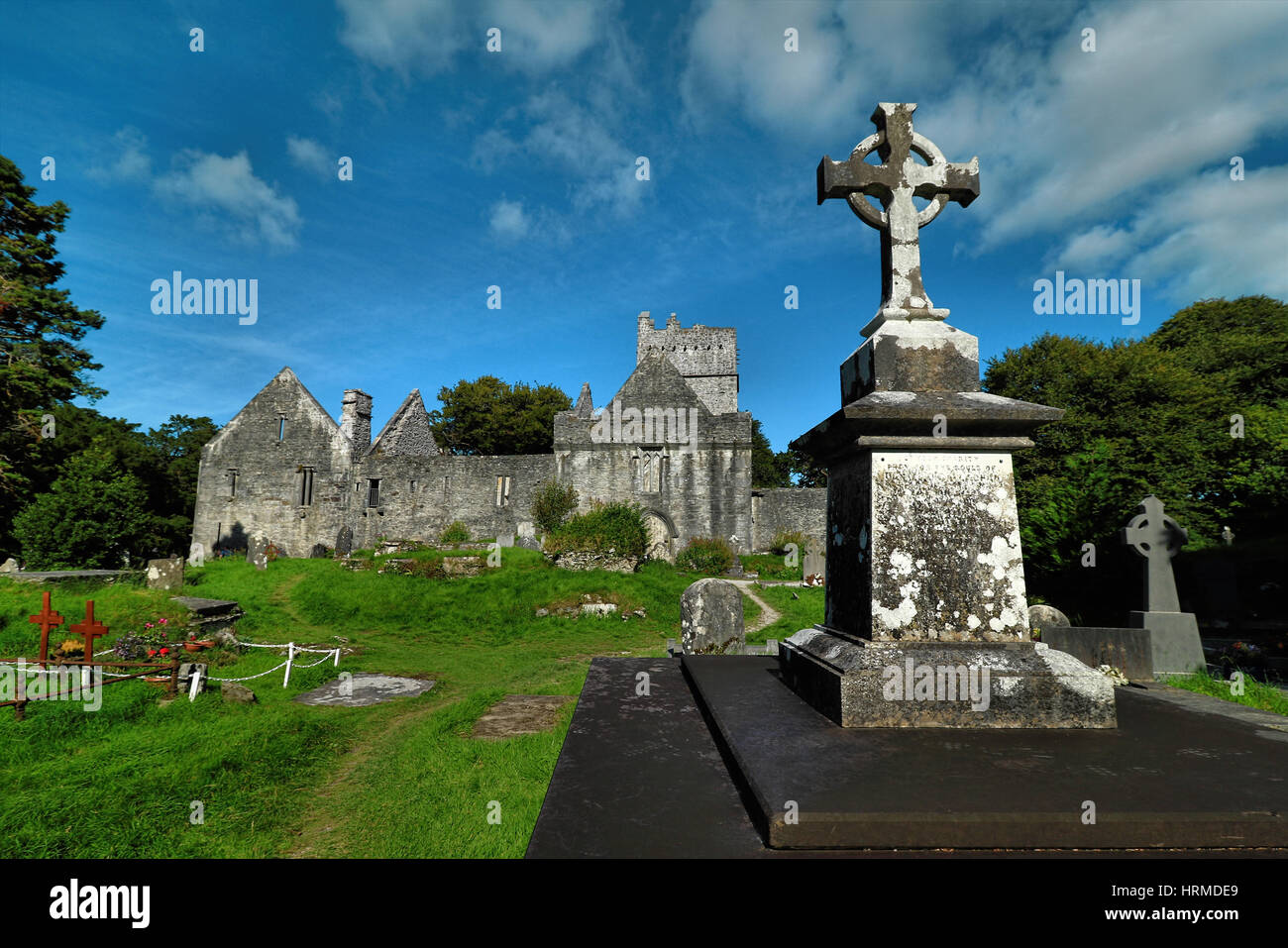 Mystic ruin of Muckross Abbey, Killarney, Ireland Stock Photo - Alamy