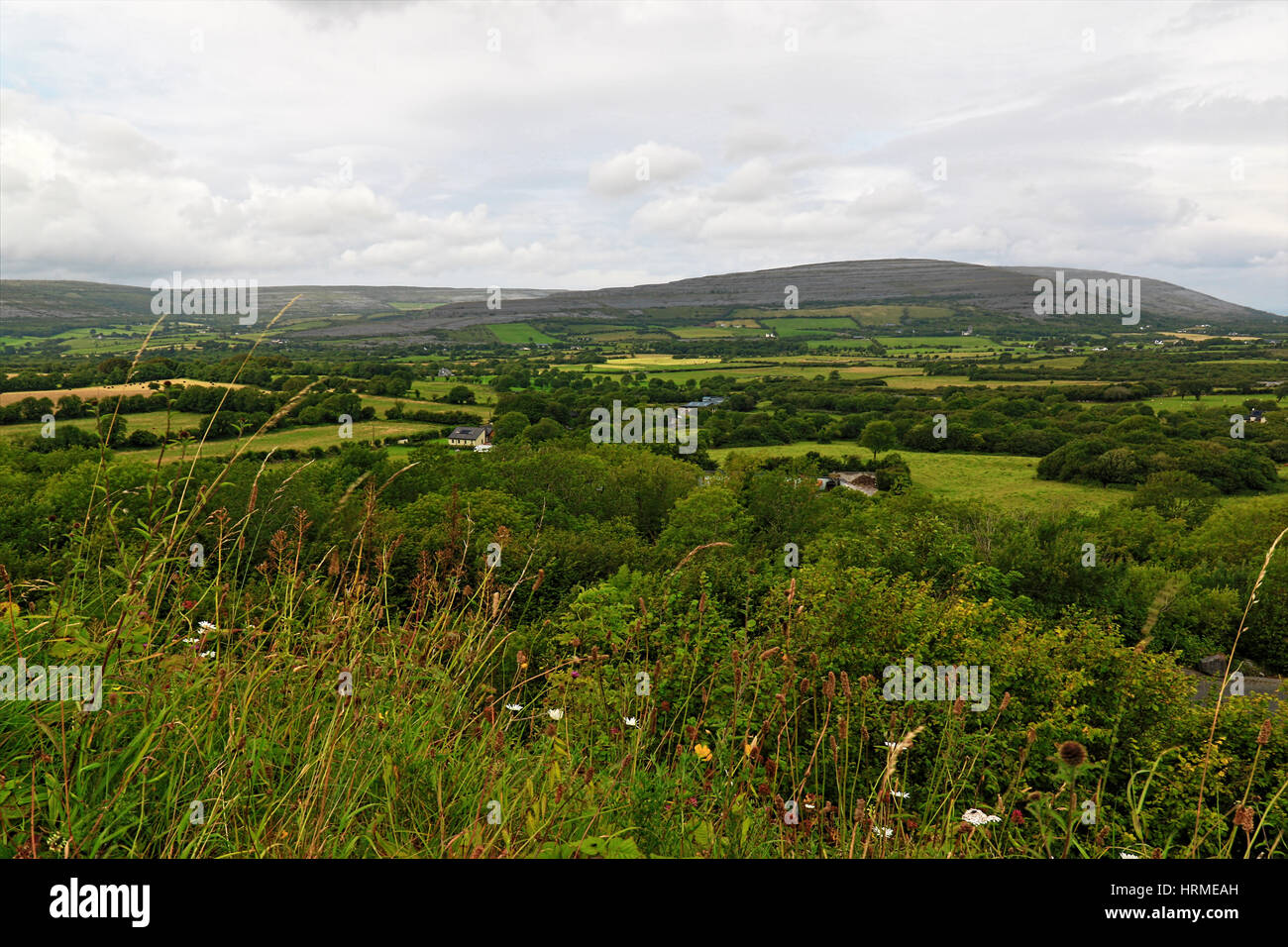 Impressions of the beautiful nature and the amazing green landscapes of ...