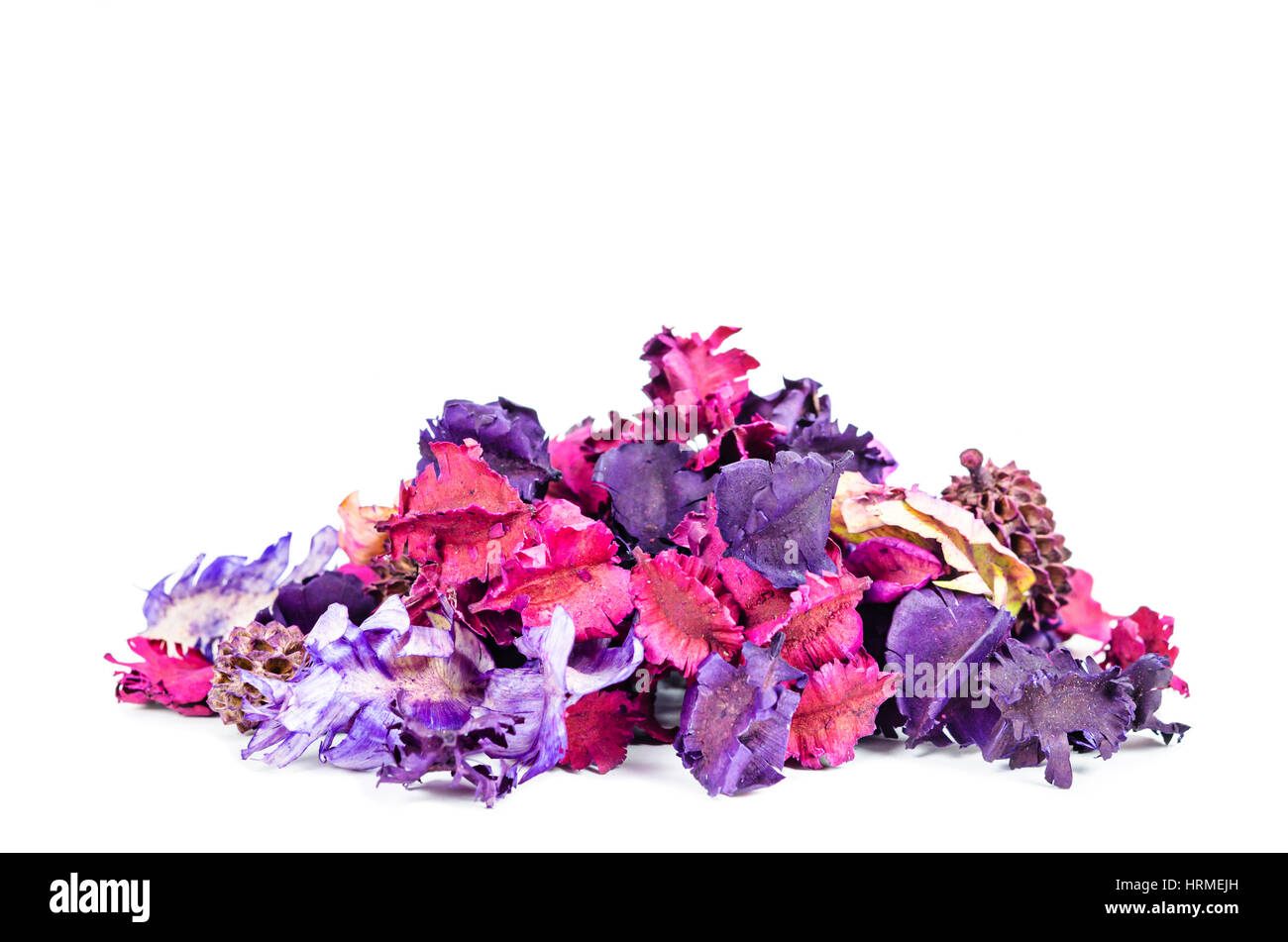 Parts of plants hi-res stock photography and images - Alamy