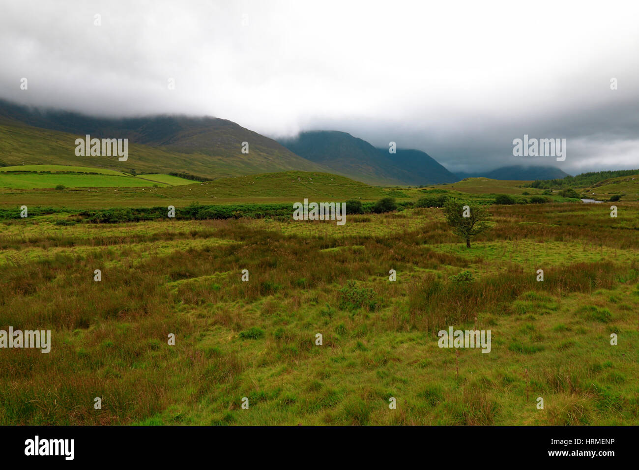 Impressions of the beautiful nature and the amazing green landscapes of ...