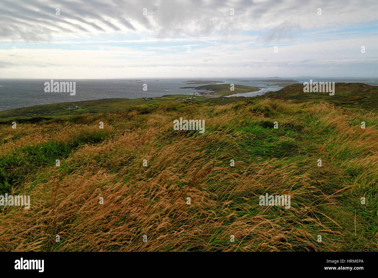 Impressions of the beautiful nature and the amazing green landscapes of ...