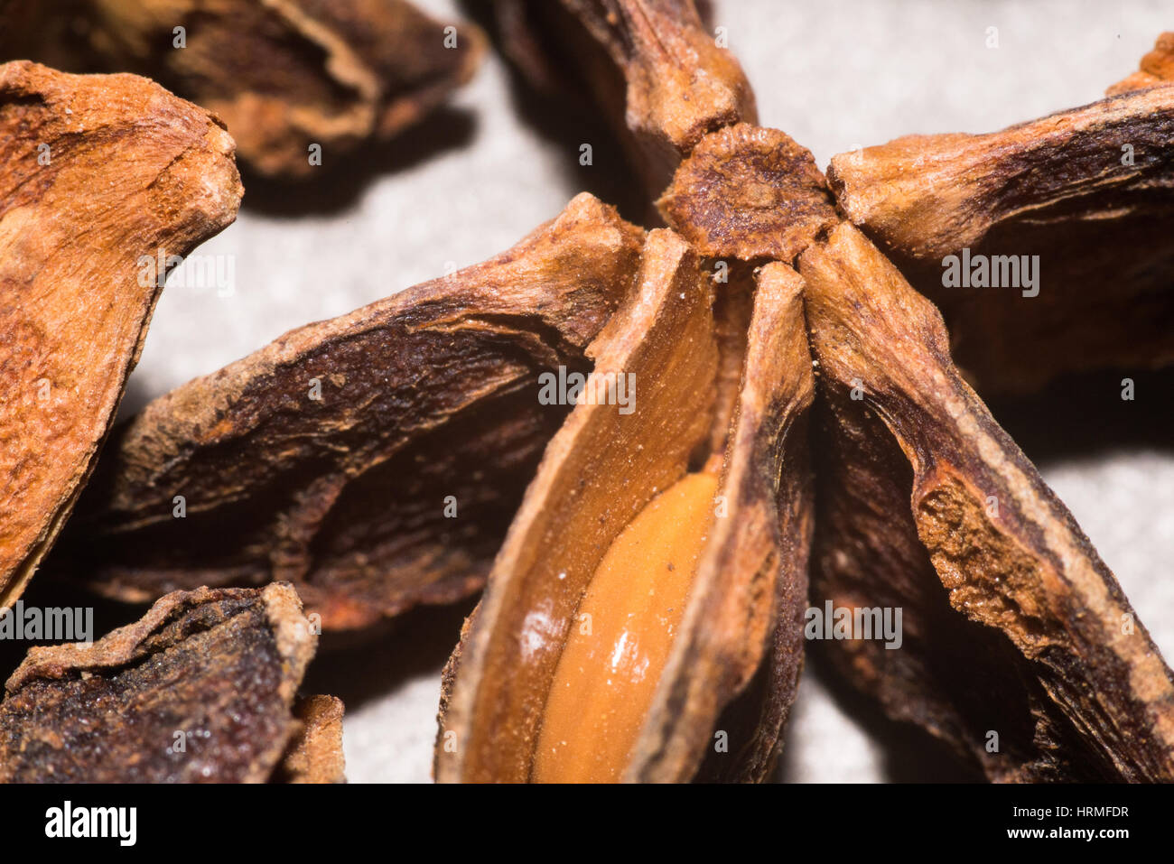 Anisetree hi-res stock photography and images - Alamy