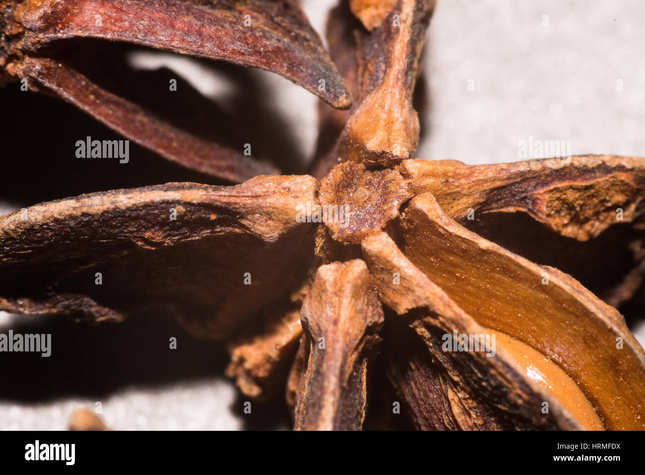 Macro closeup of star anis / anice Stock Photo - Alamy