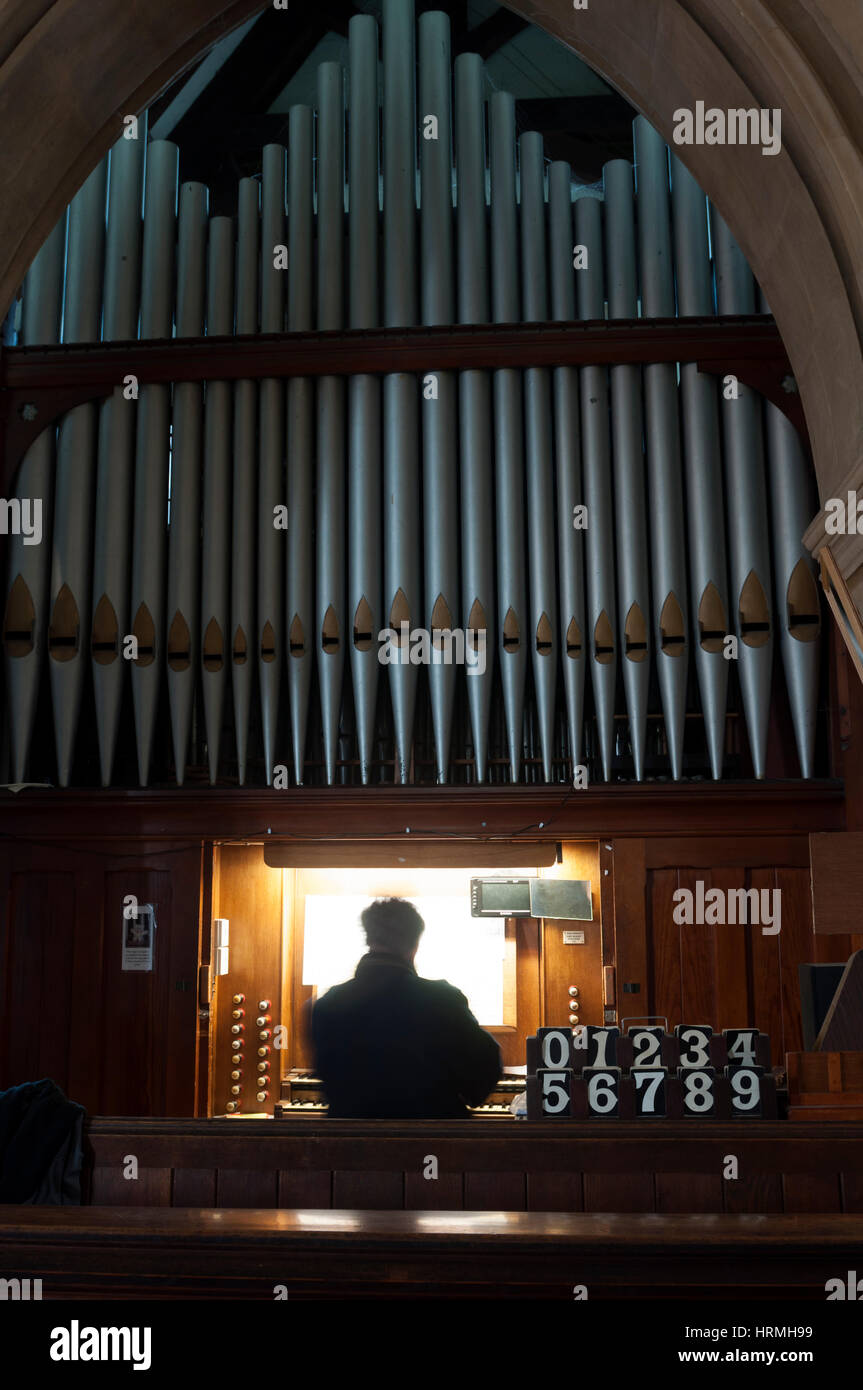 Church organ player hi-res stock photography and images - Alamy