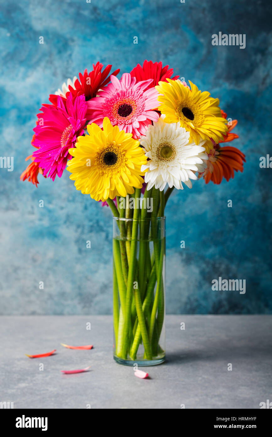 Colorful bunch of gerbera flowers in a glass vase. Blue stone ...