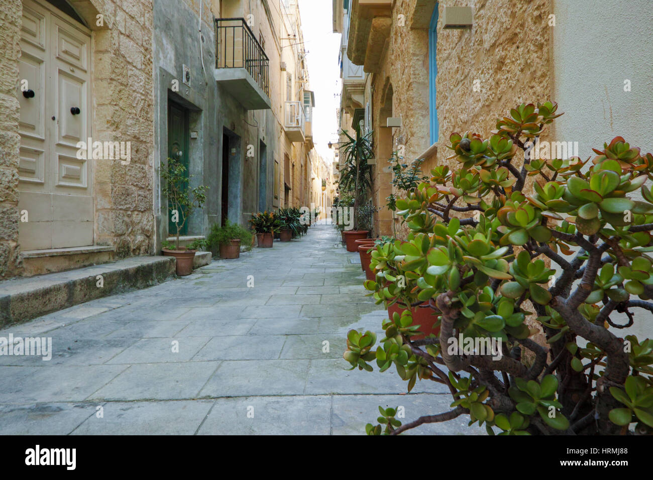 RABAT, MALTA View of houses that have colorful window boxes in the old ...