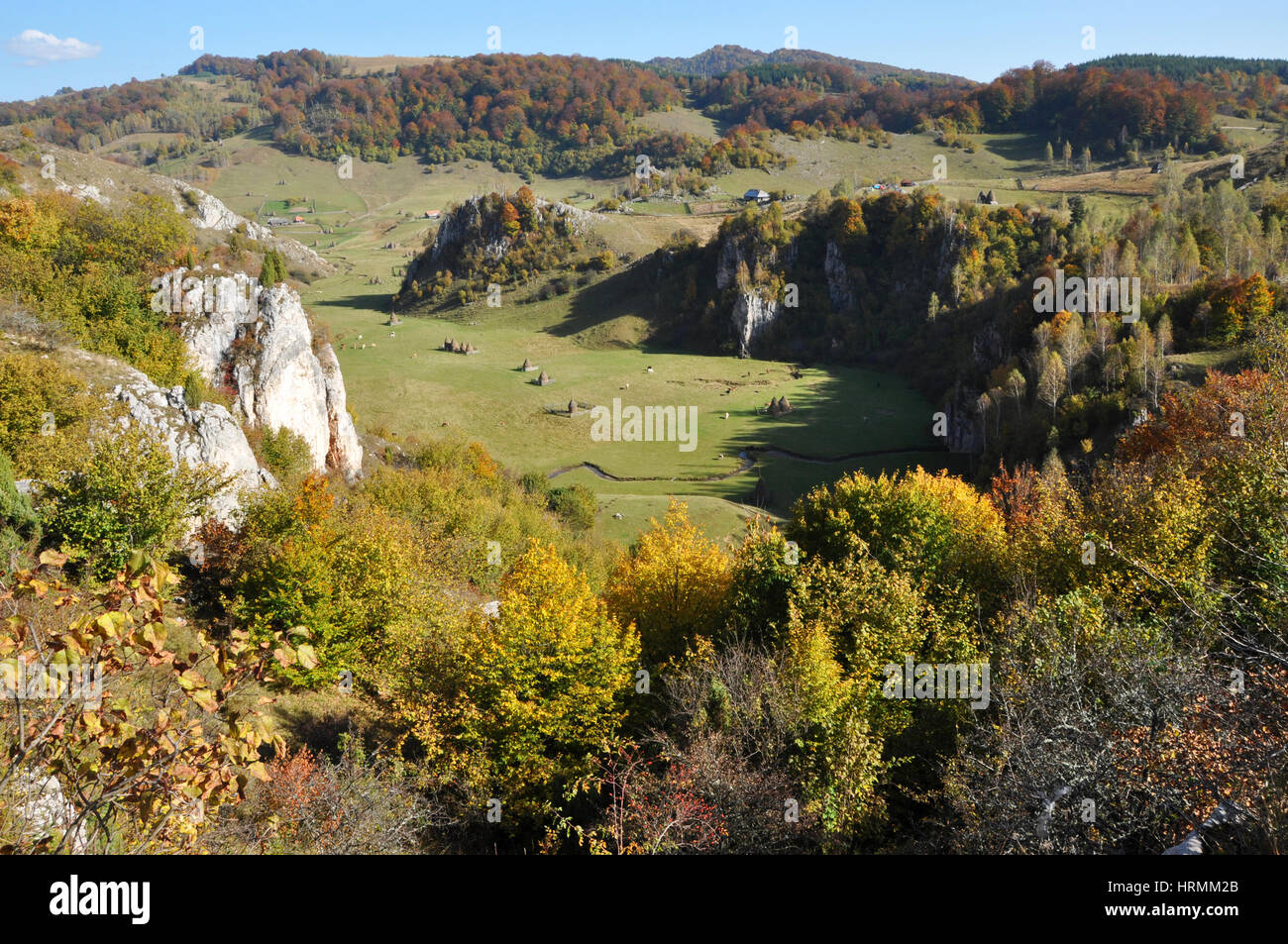 Autumn fall foliage - beautiful forest at autumn Stock Photo - Alamy