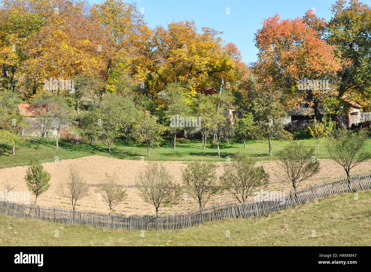 Autumn fall foliage - beautiful forest at autumn Stock Photo - Alamy