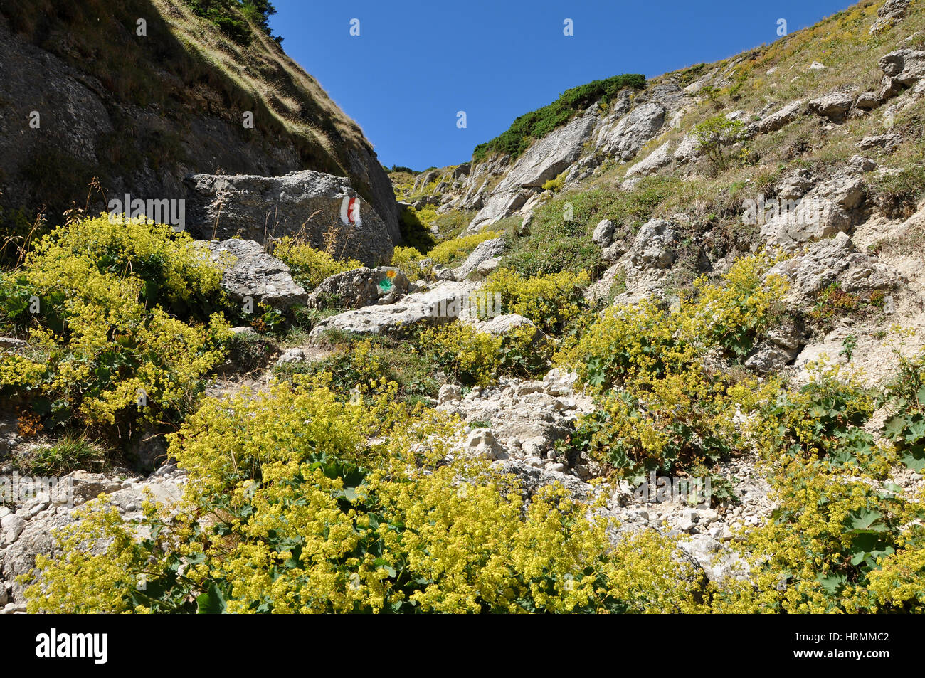 Conglomerate sandstone cliffs hi-res stock photography and images - Alamy