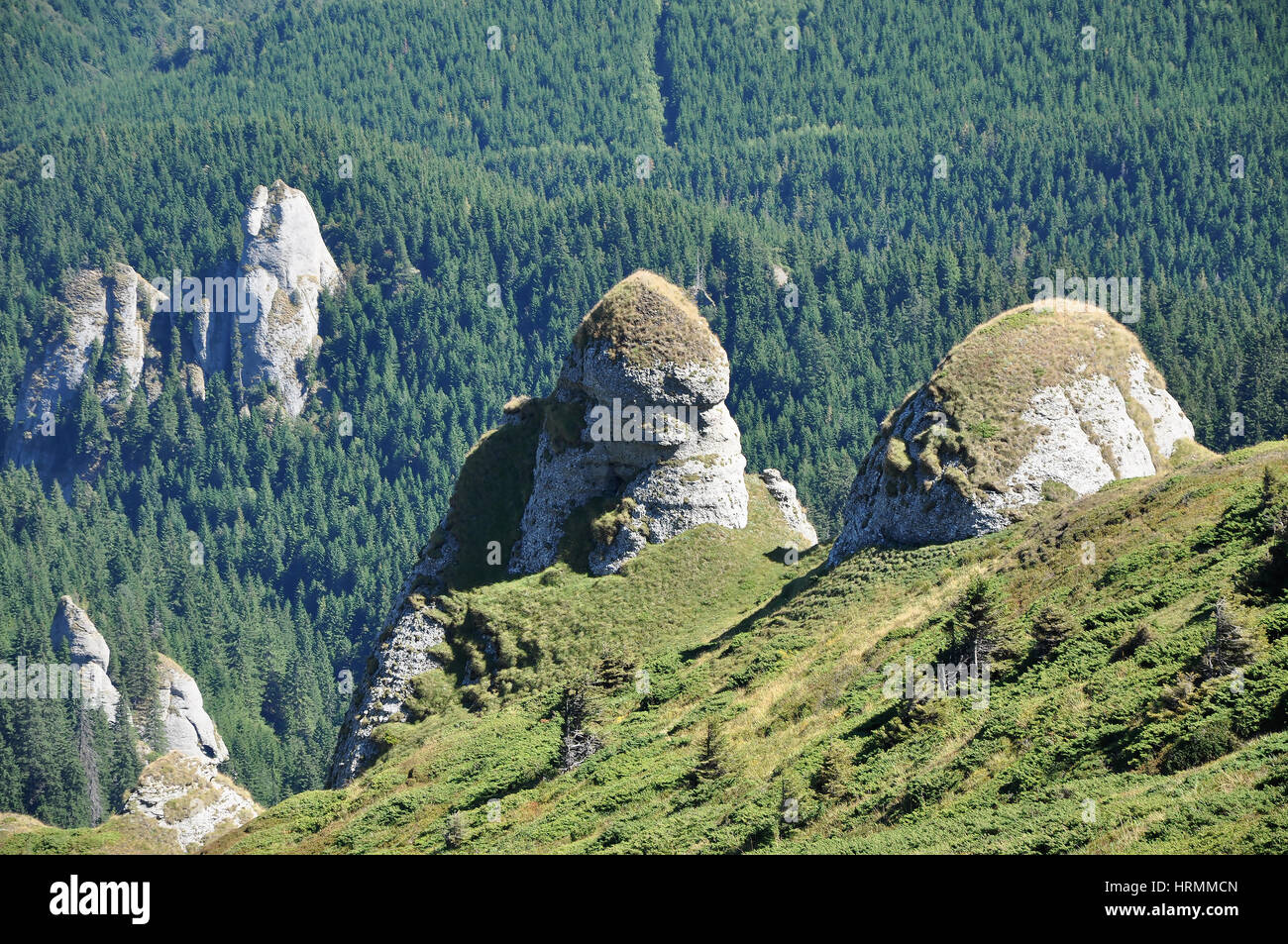 Beautiful mountain vista, sedimentary rocks in the Carpathians Stock ...