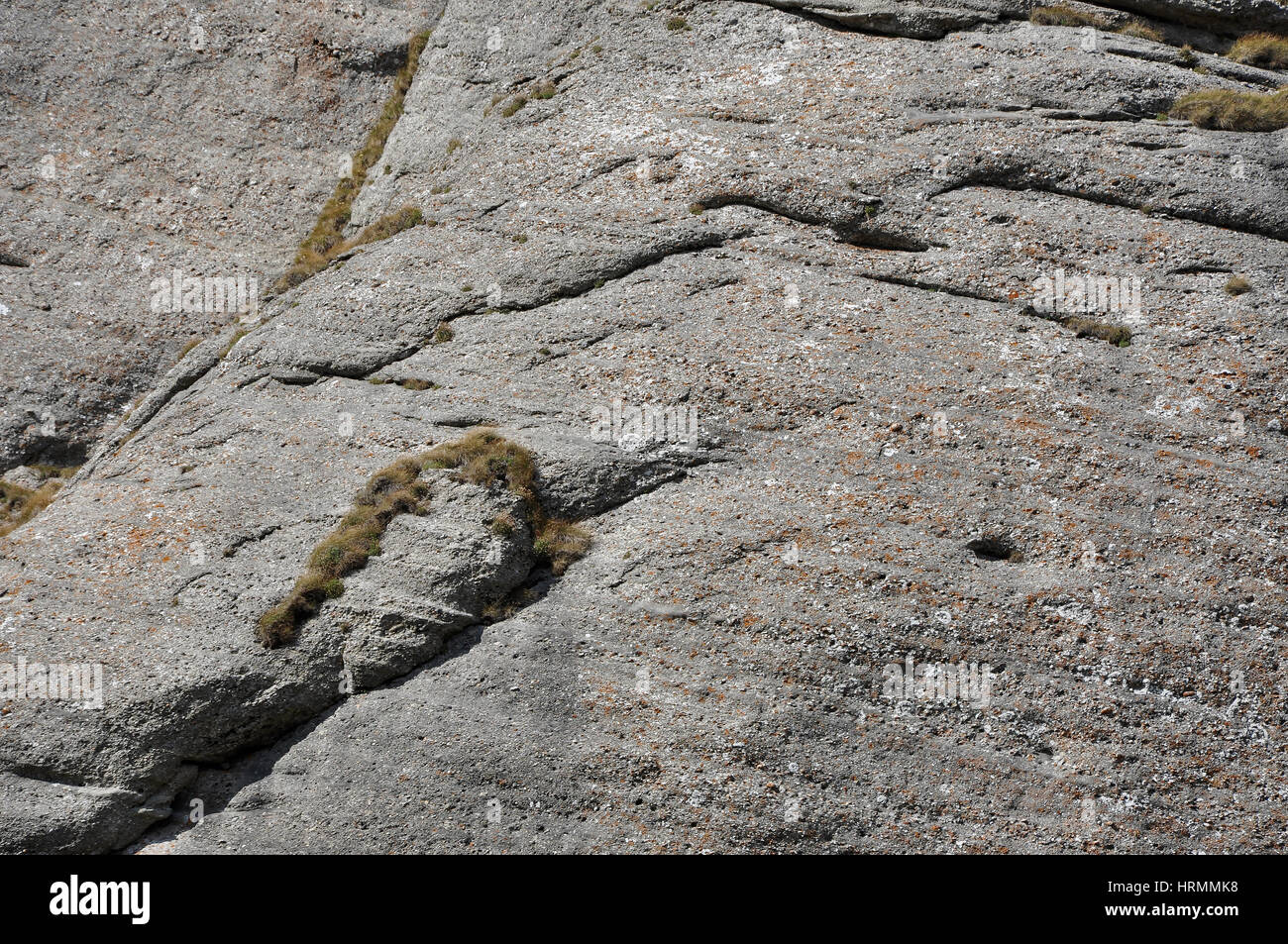 Sedimentary conglomerate texture hi-res stock photography and images ...