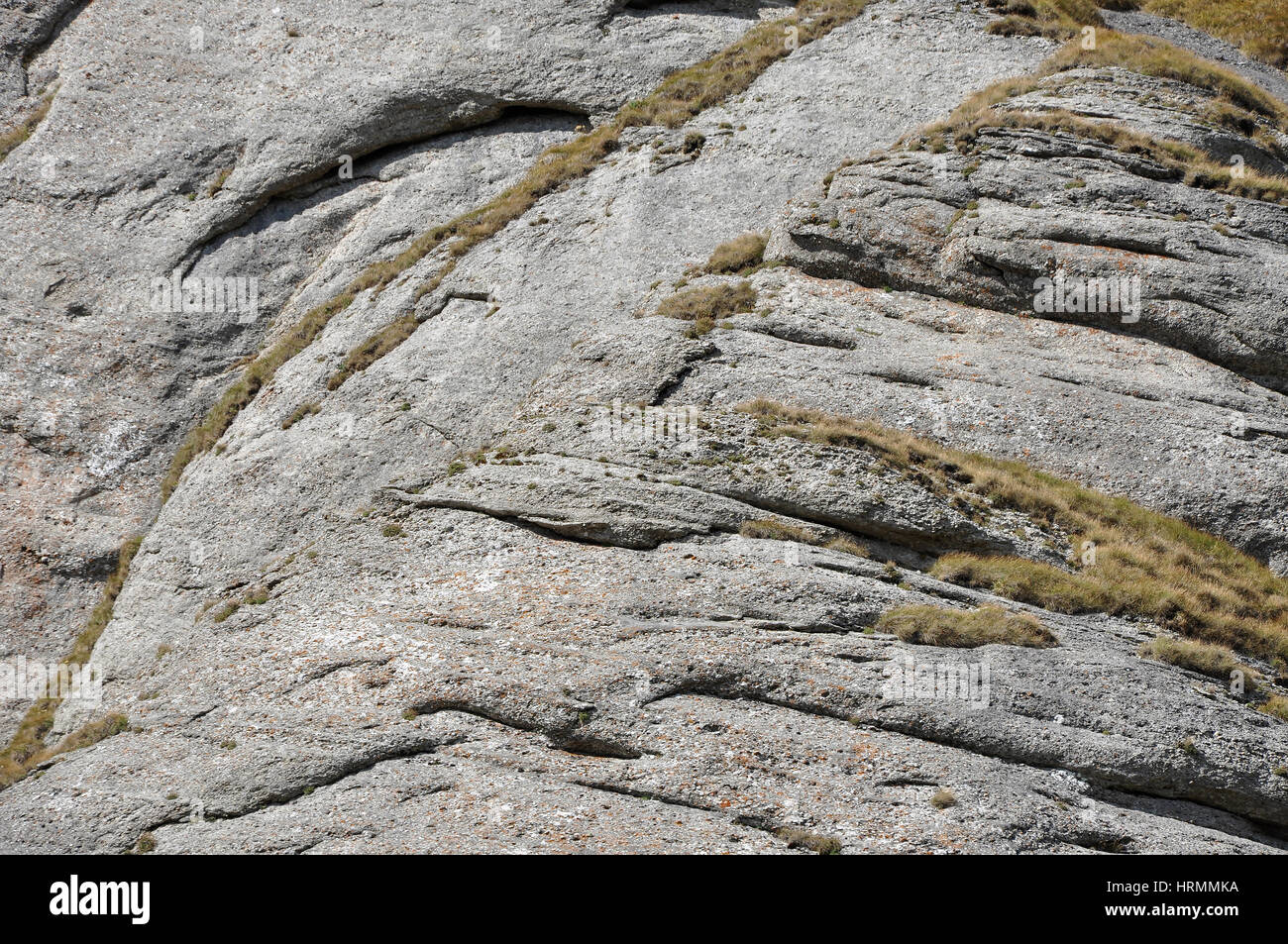 Conglomerate rocks. Sedimentary rock pattern Stock Photo - Alamy