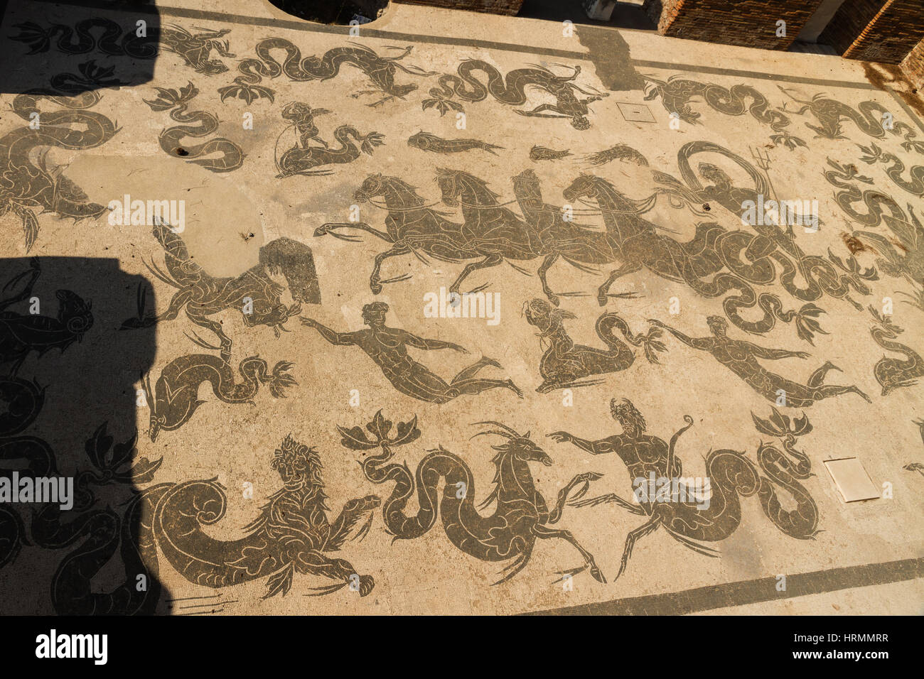 Baths of Neptune, Roman mosaic floor at Ostia Antica, roman city. Rome ...
