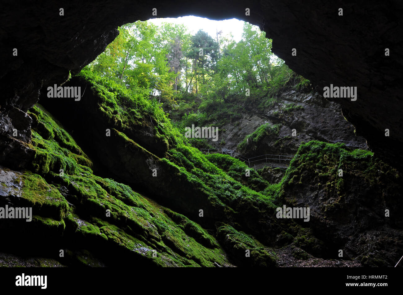 Light in cave entrance Stock Photo - Alamy