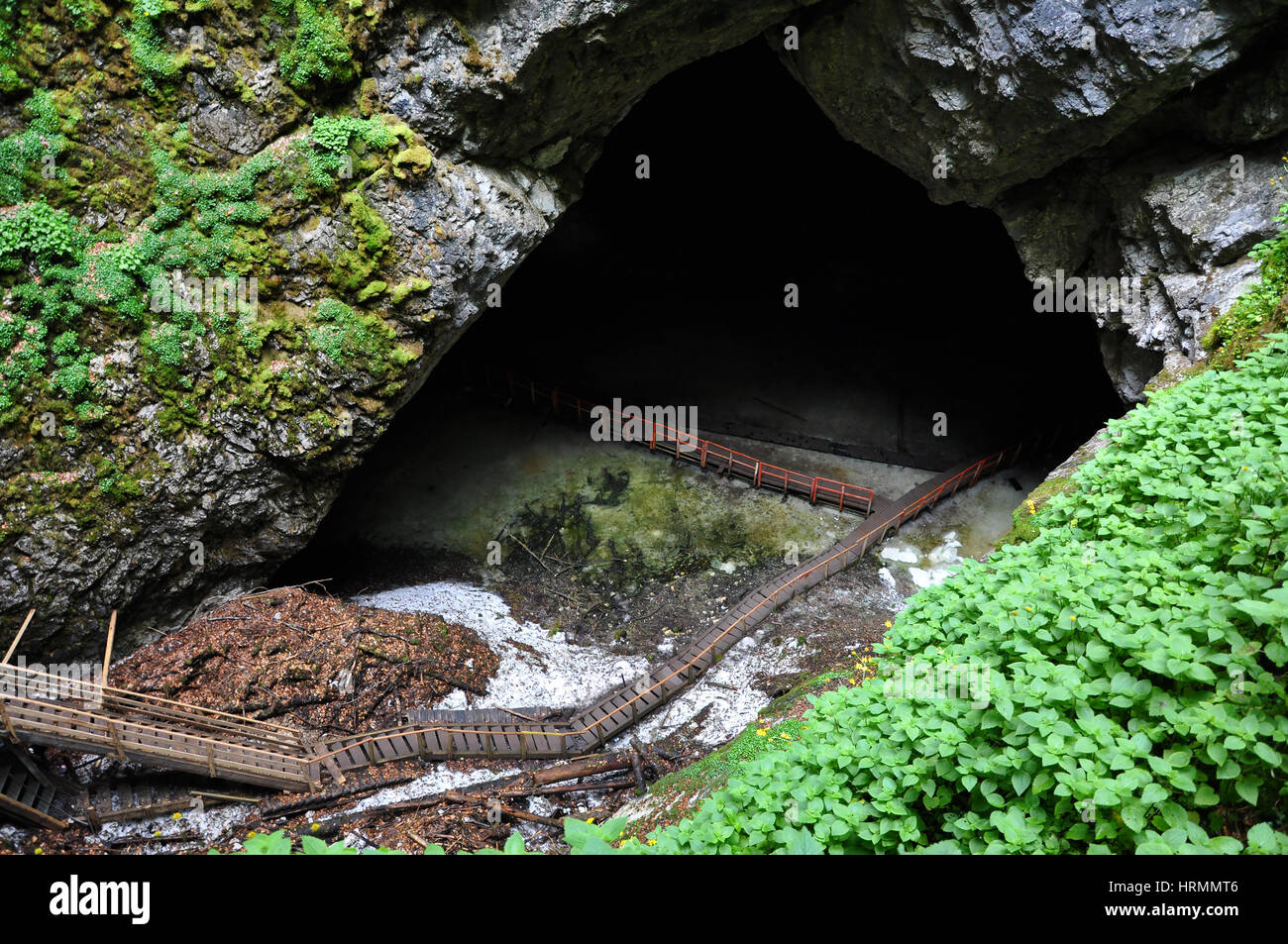 Entrance to a deep ice cave. Scarisoara, Romania Stock Photo - Alamy
