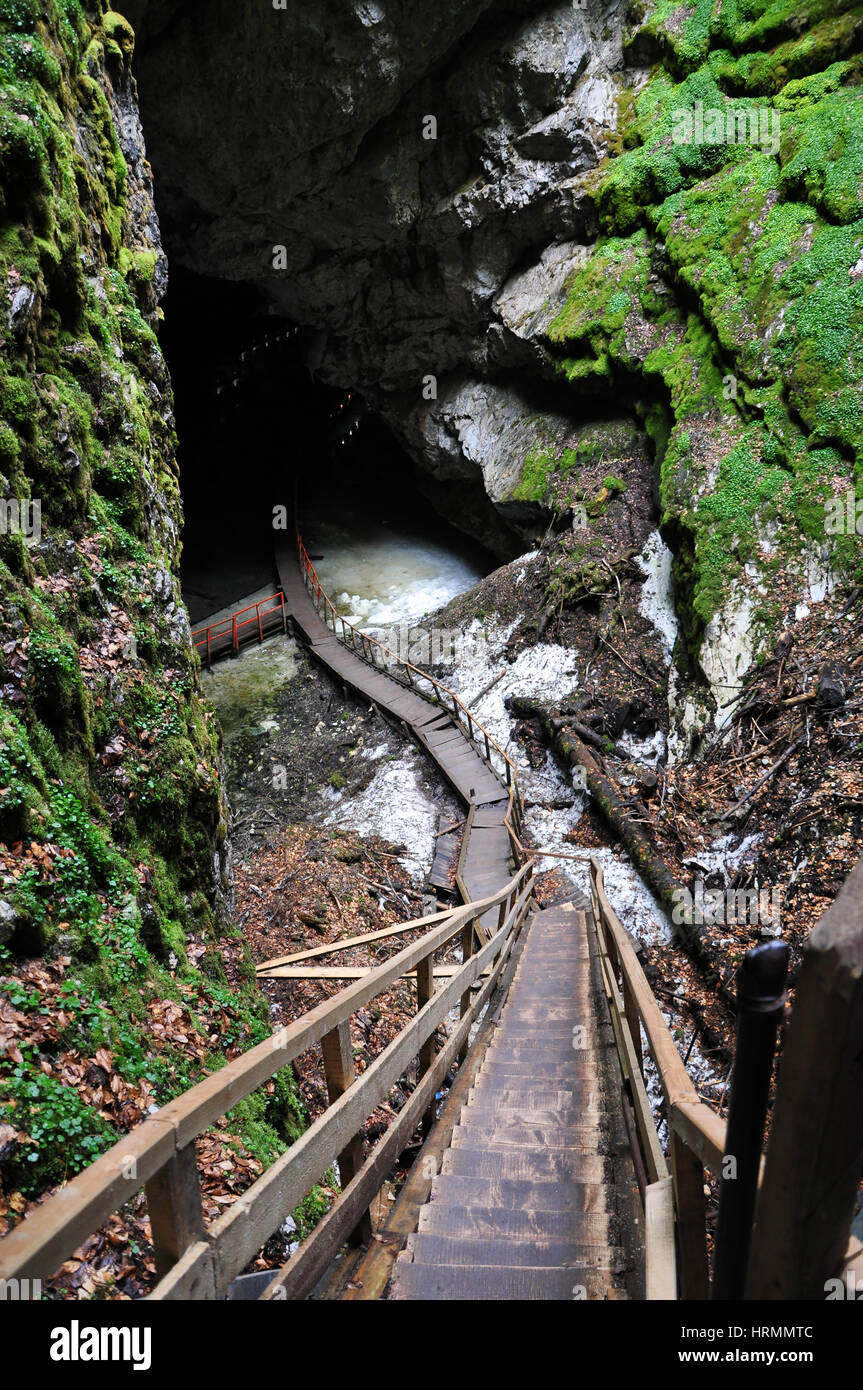 Descending wooden ladder to a deep ice cave. Scarisoara, Romania Stock ...